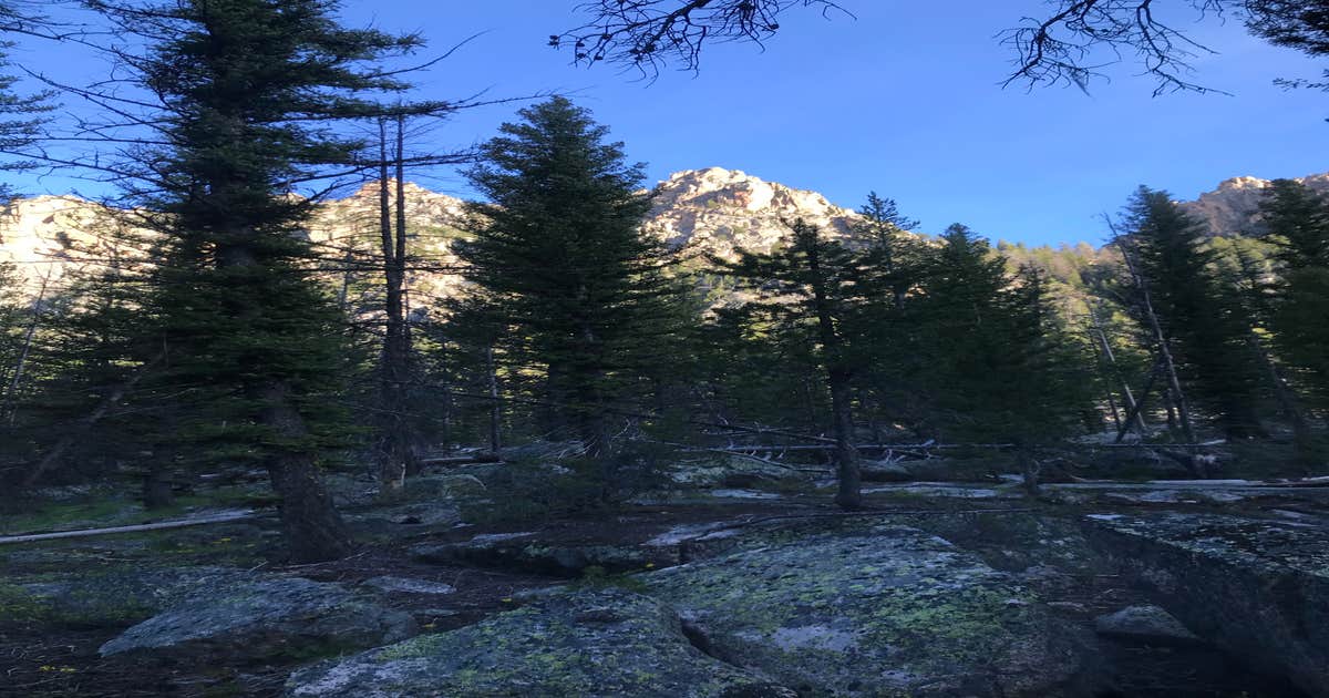 Redfish Inlet Trailhead Camping | Stanley, Idaho