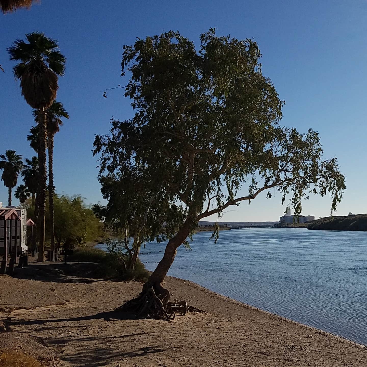 Davis Dam Camp Camping | The Dyrt