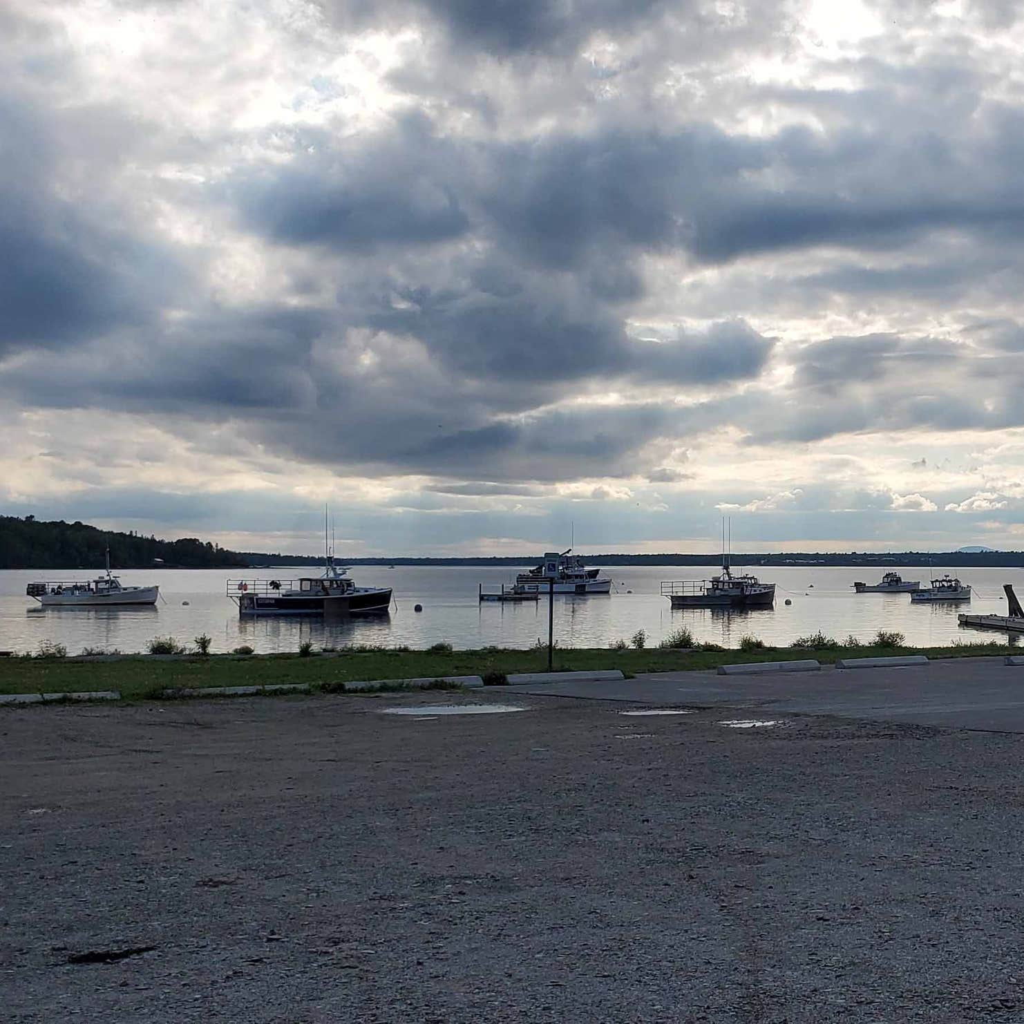 Lamoine State Park Camping | The Dyrt