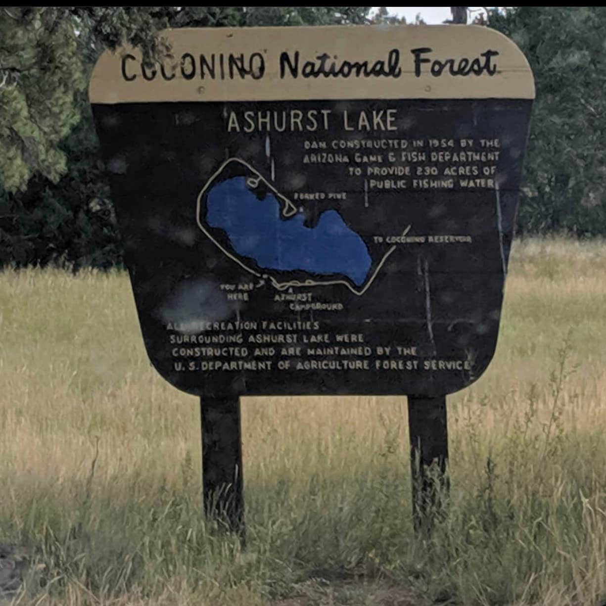 Ashurst Lake — Coconino National Forest Recreation Camping | Mormon ...