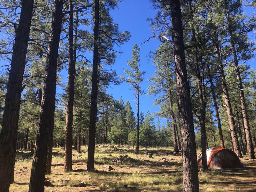 Kaibab National Forest Kaibab Lake Campground Camping | The Dyrt