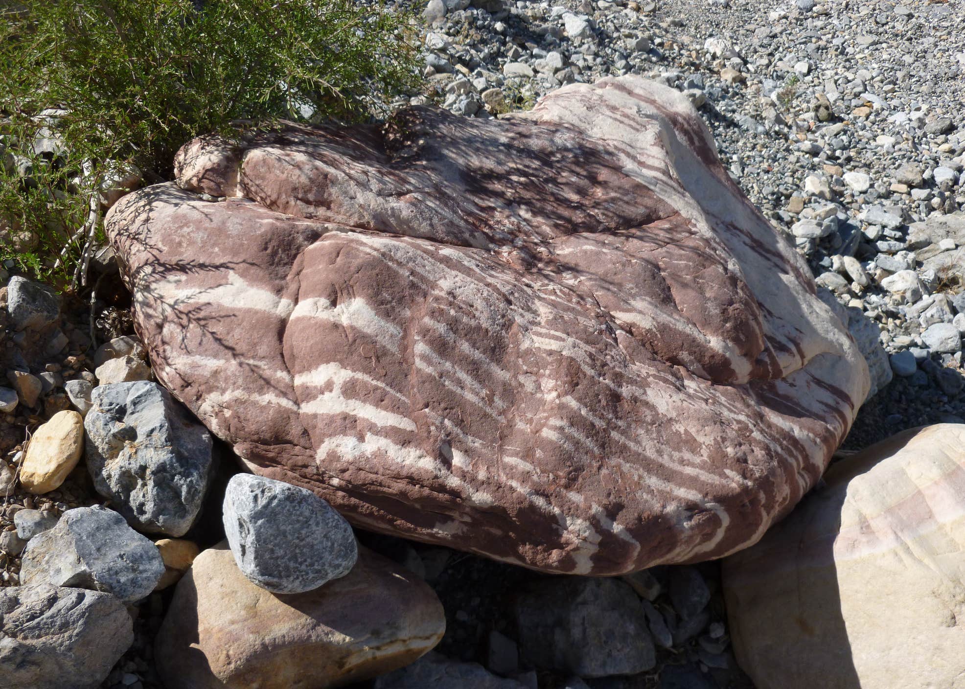 Red Rock Canyon National Conservation Area - Red Rock Campground ...