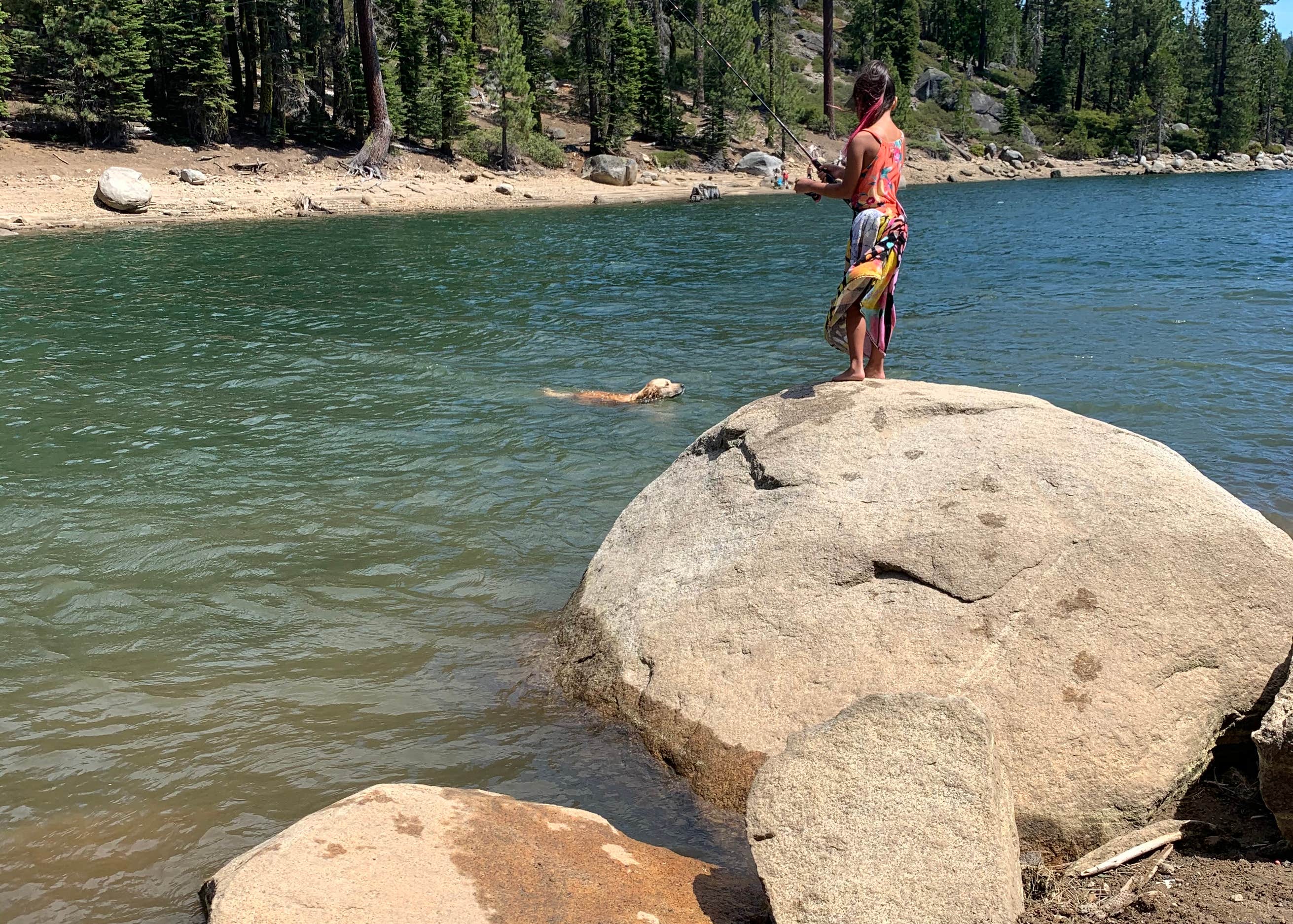 Bear River Lake Resort Camping | The Dyrt