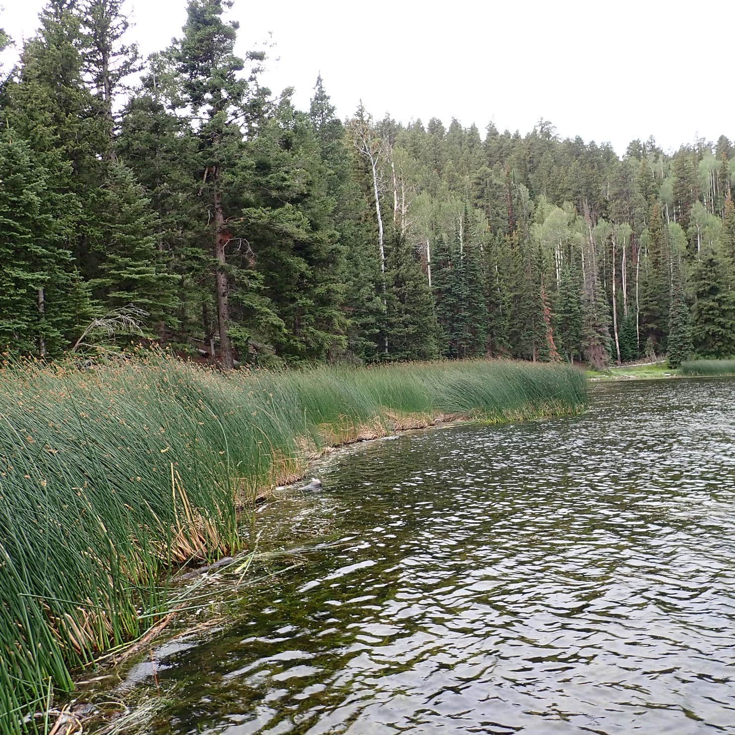 Posy Lake Campground | Escalante, UT