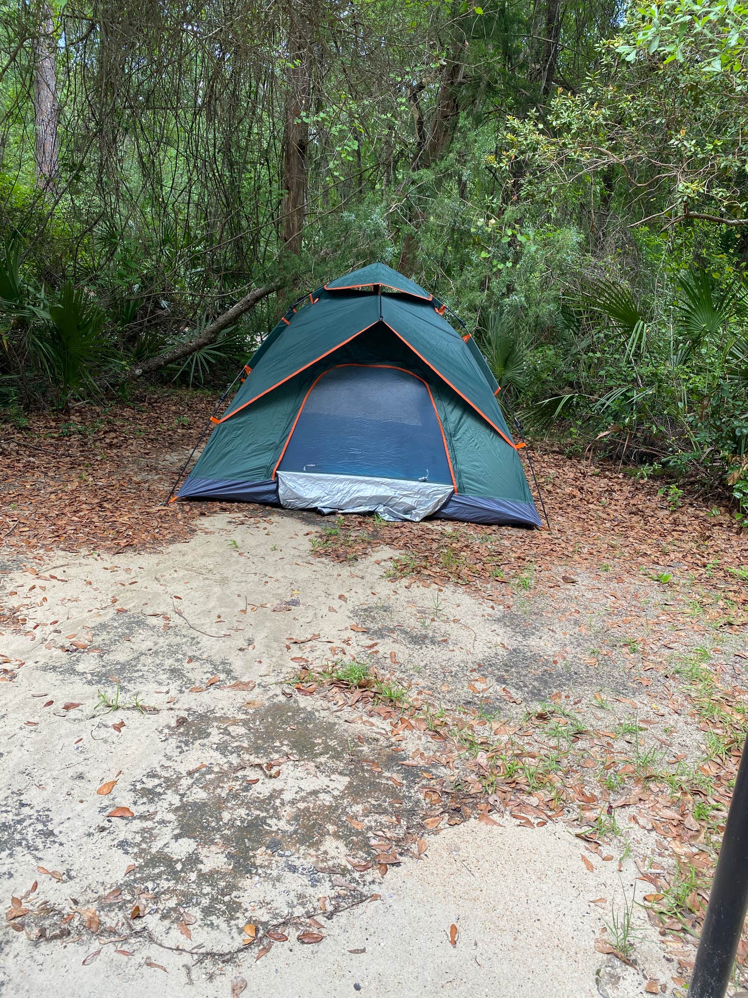 Juniper Springs Campground | The Dyrt