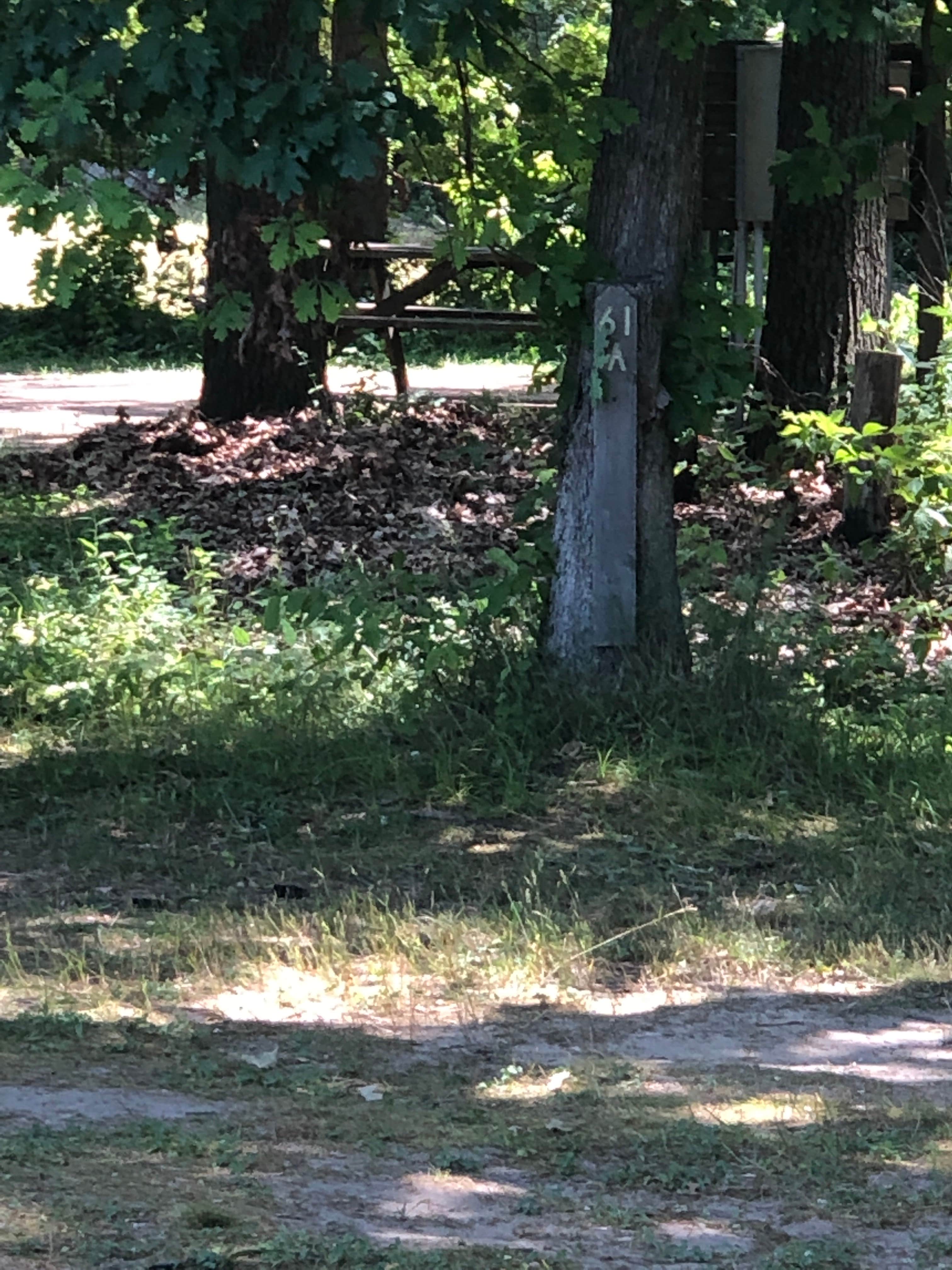 Sharp Park Campground | Middleville, MI