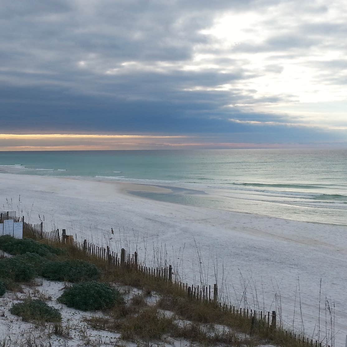 Grayton Beach State Park Camping | The Dyrt