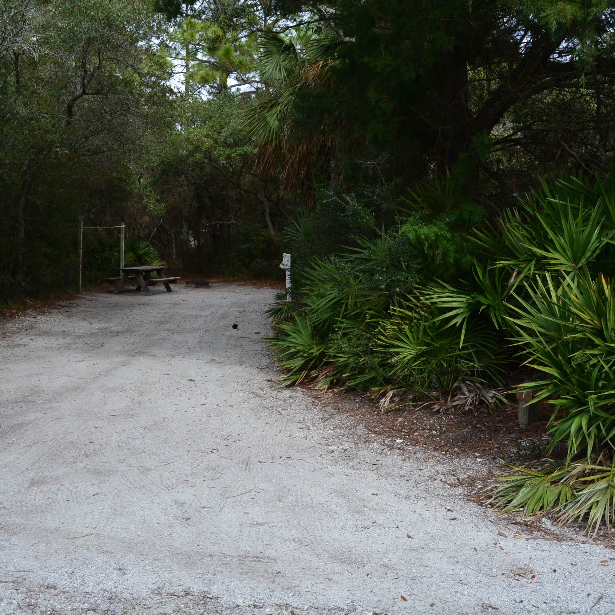 Grayton Beach State Park Camping | The Dyrt