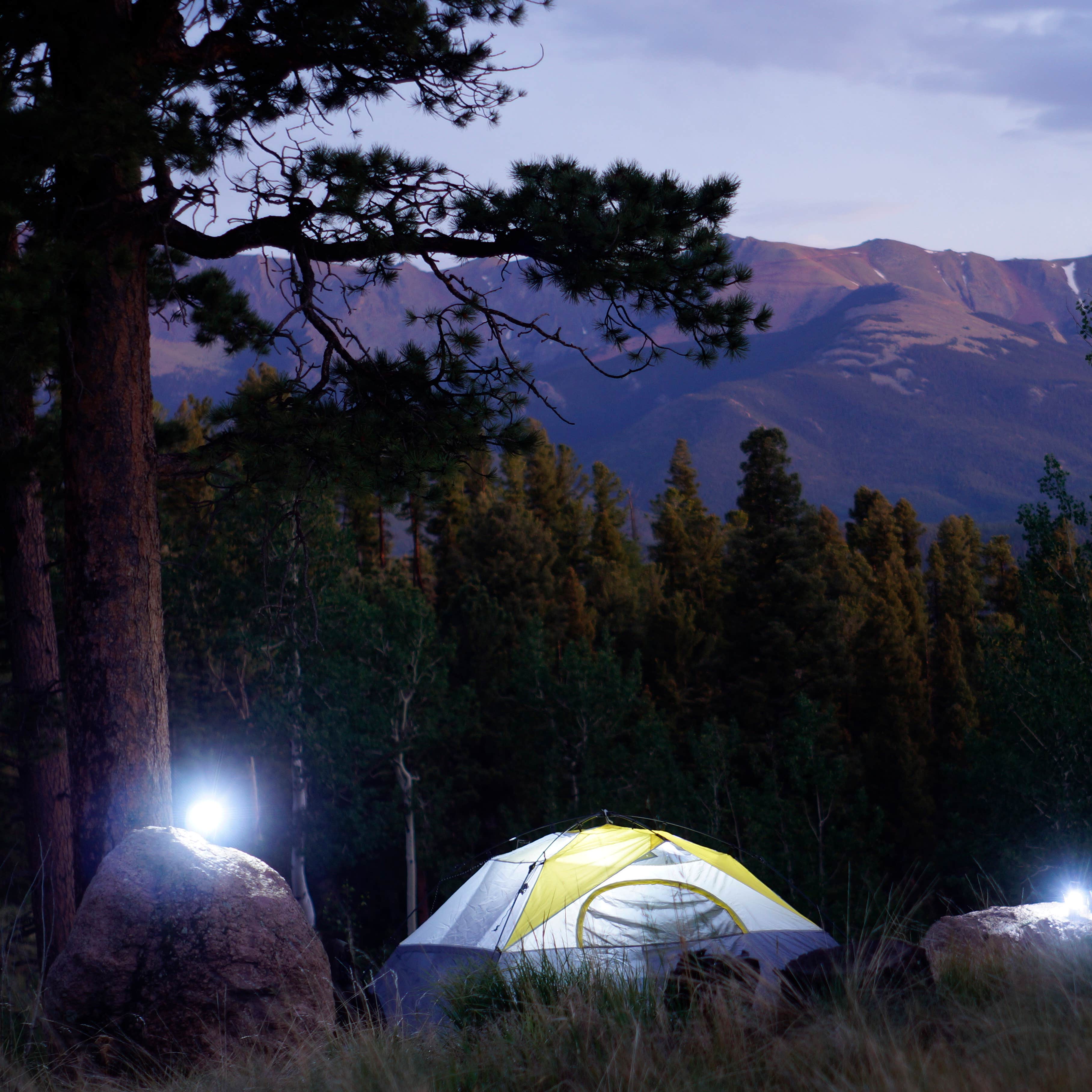 Rampart Reservoir Recreation Area Camping | The Dyrt