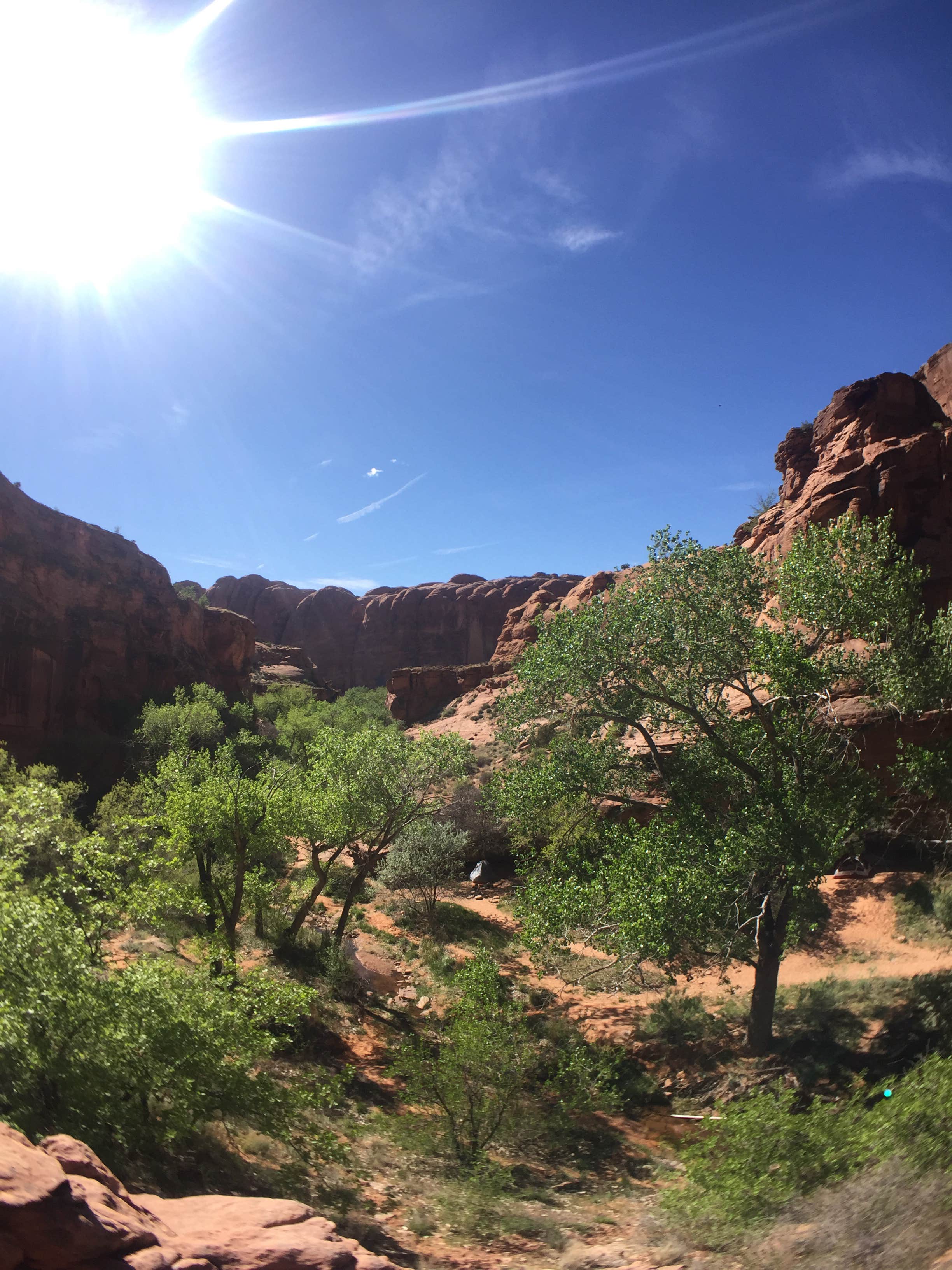 Moonflower Canyon Group Site | Moab, UT