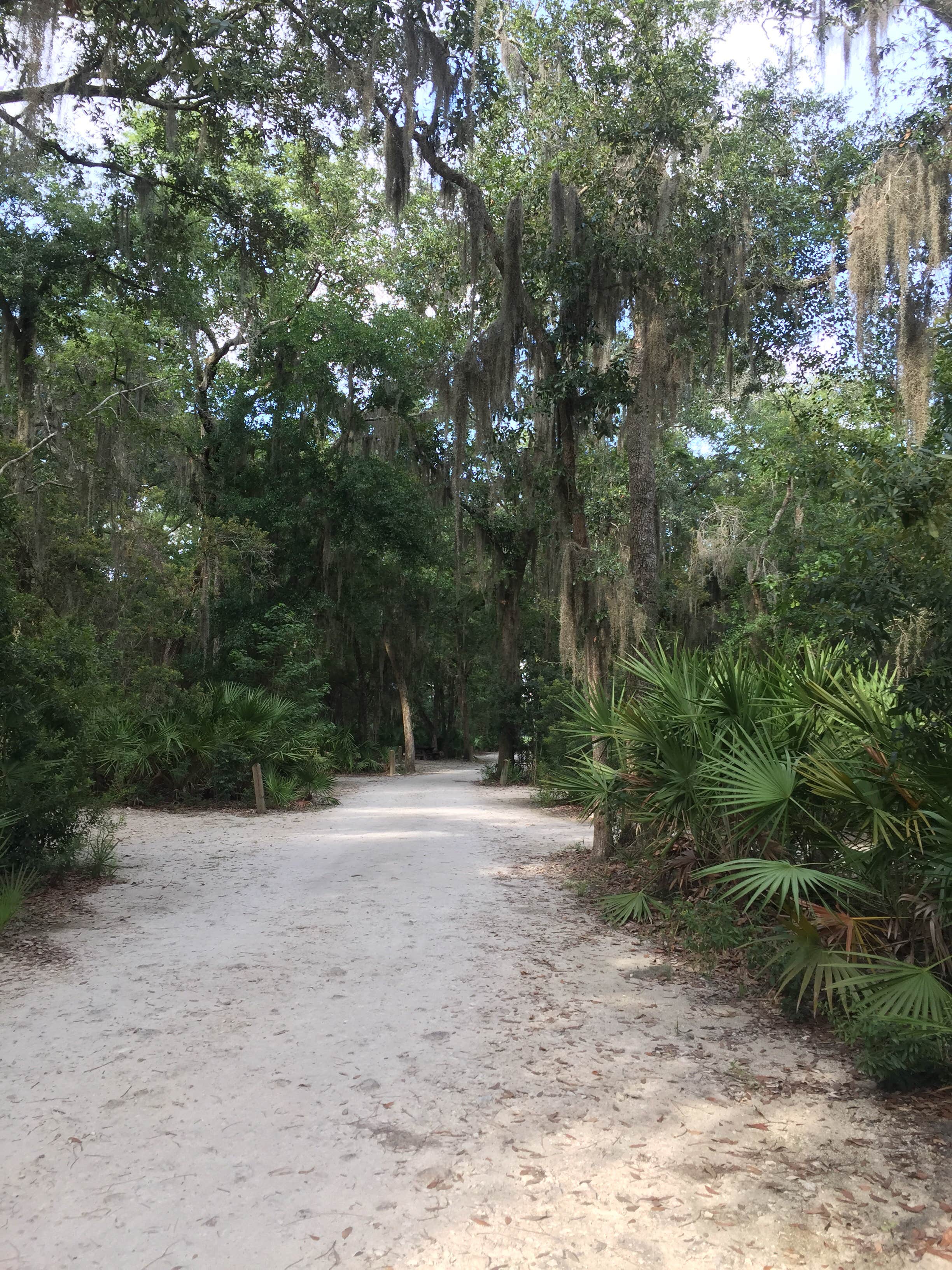 Blythe Island Regional Park Camping | Brunswick, Georgia