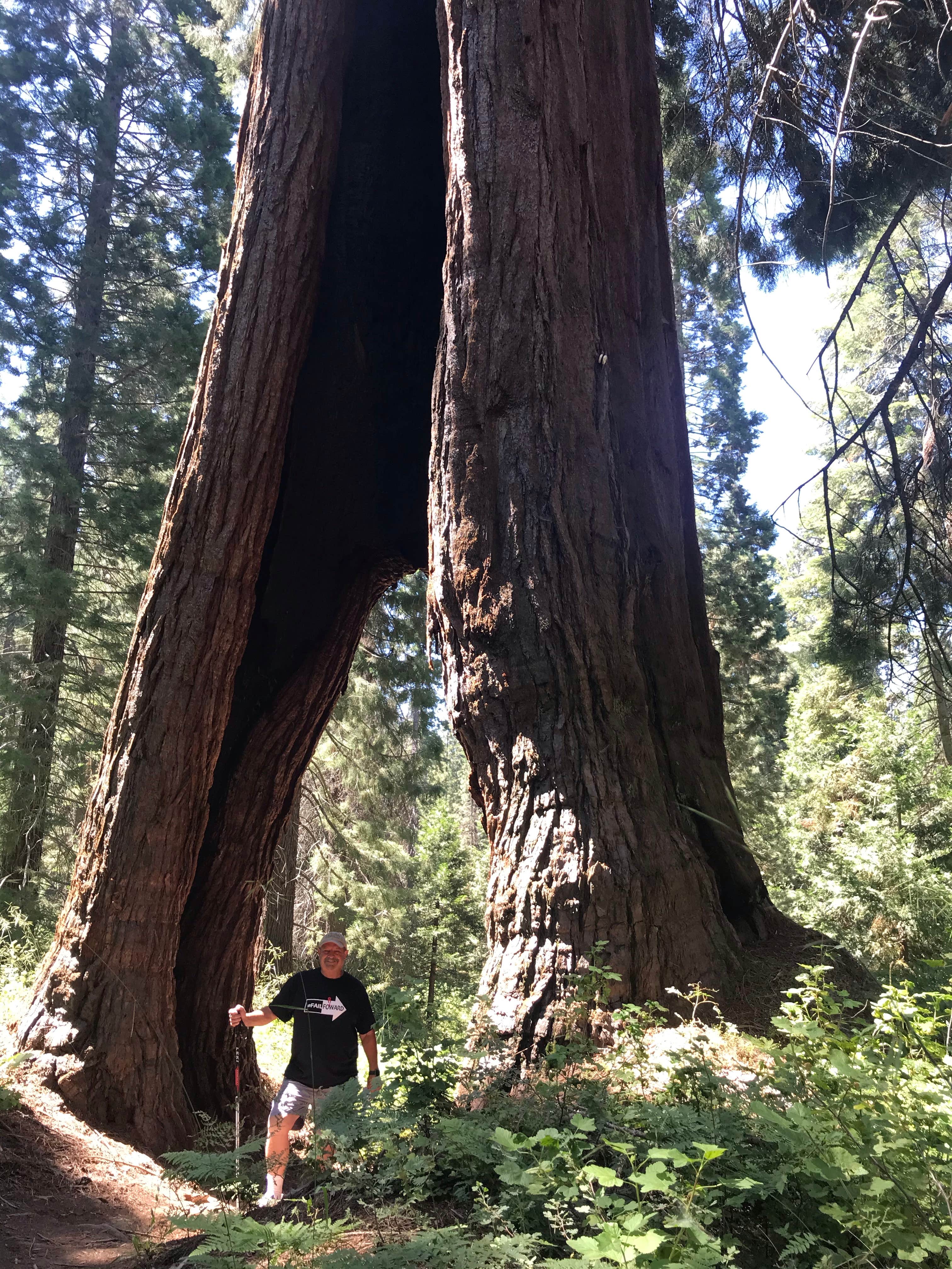 Balch Park Campground Camping | The Dyrt