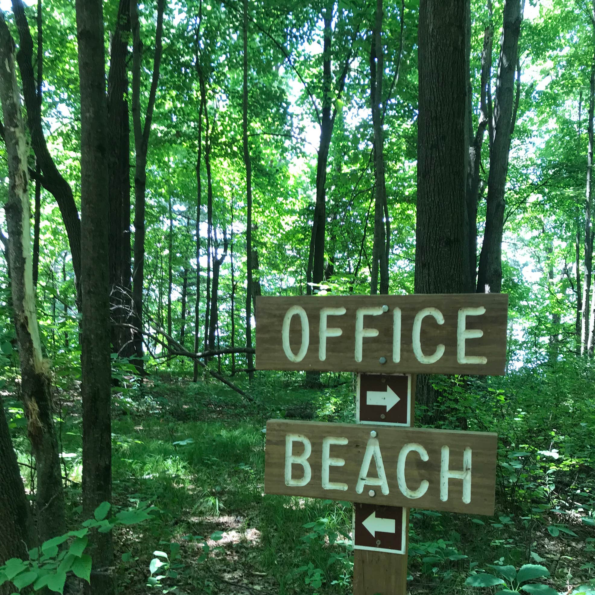 Lake Wissota State Park Camping | The Dyrt