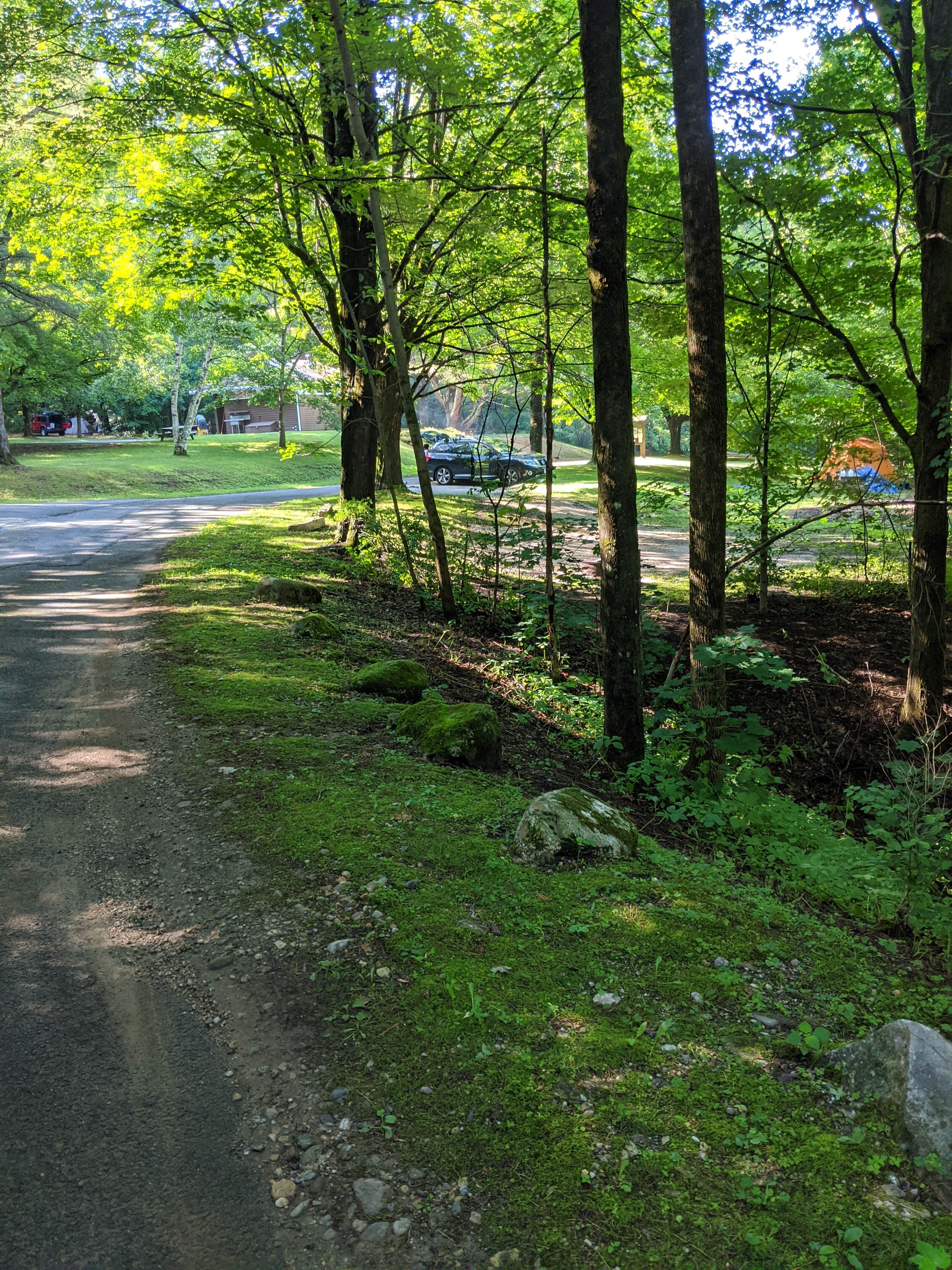 October Mountain State Forest Campground | Lenox Dale, Massachusetts