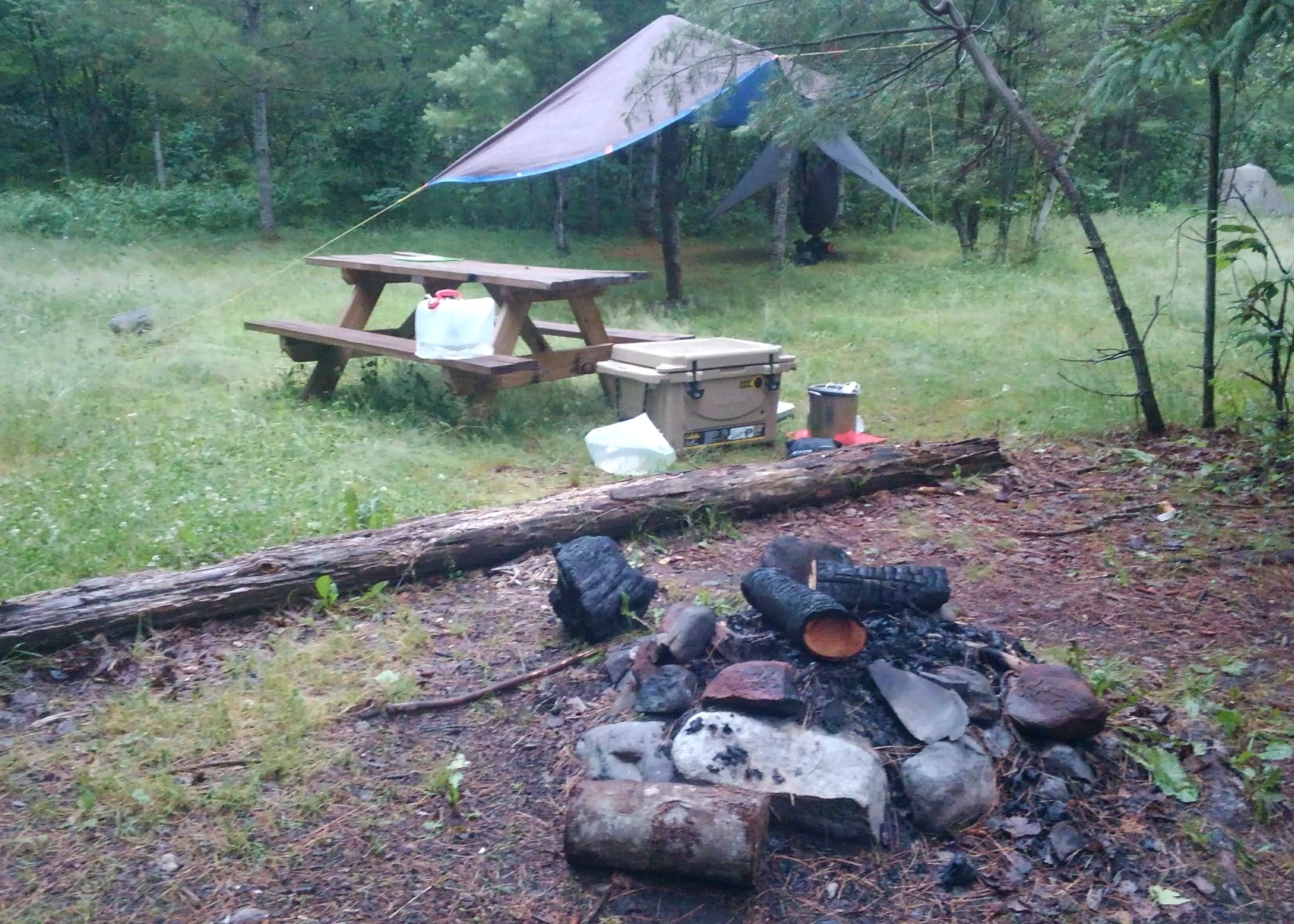 Lyman Falls State Park Camping | The Dyrt