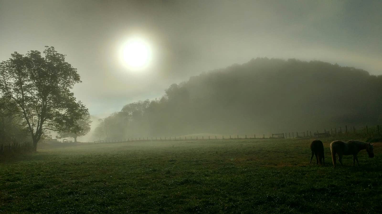 CB Ranch Camping | Lewisburg, WV