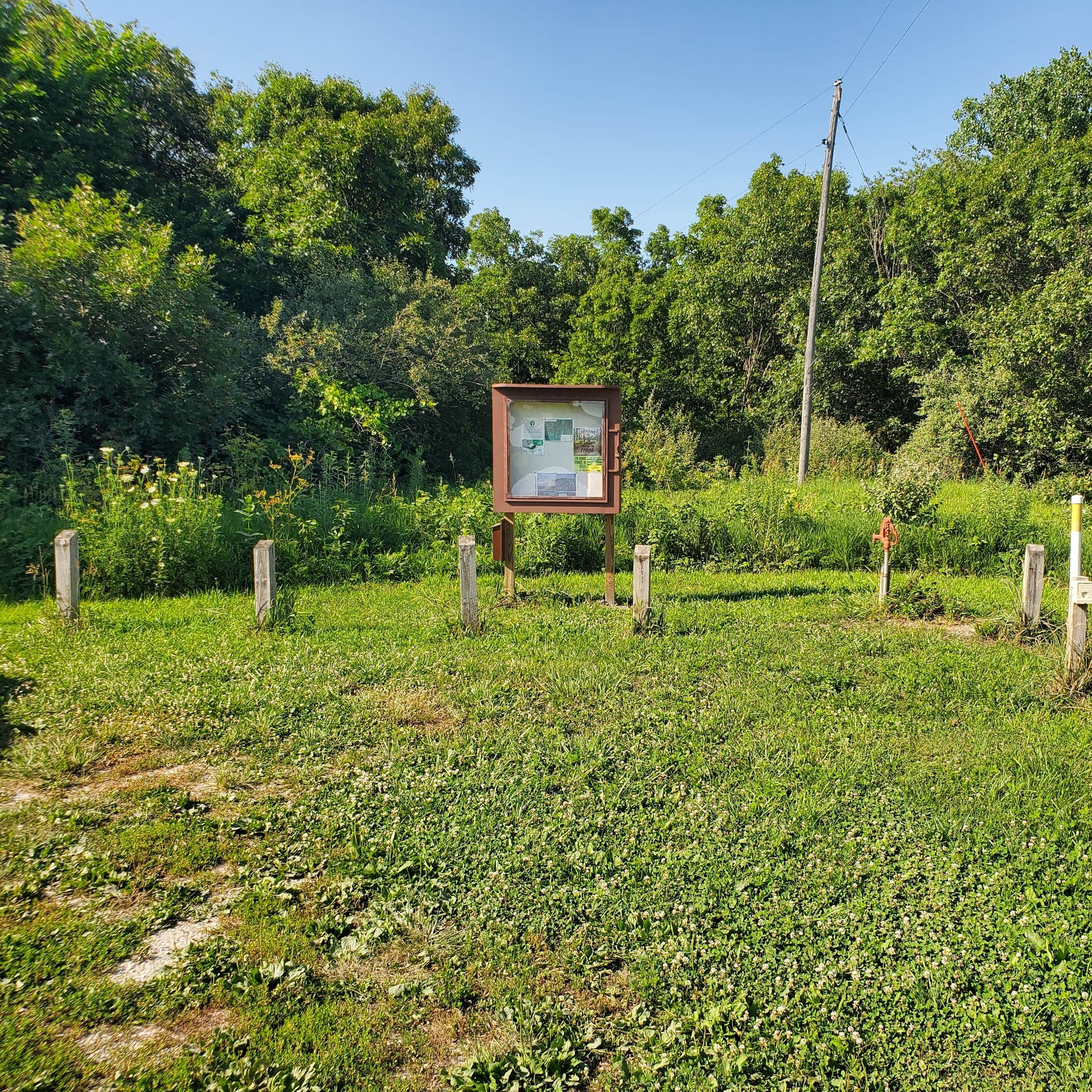 Woodburn - Stephens Forest Camping | The Dyrt