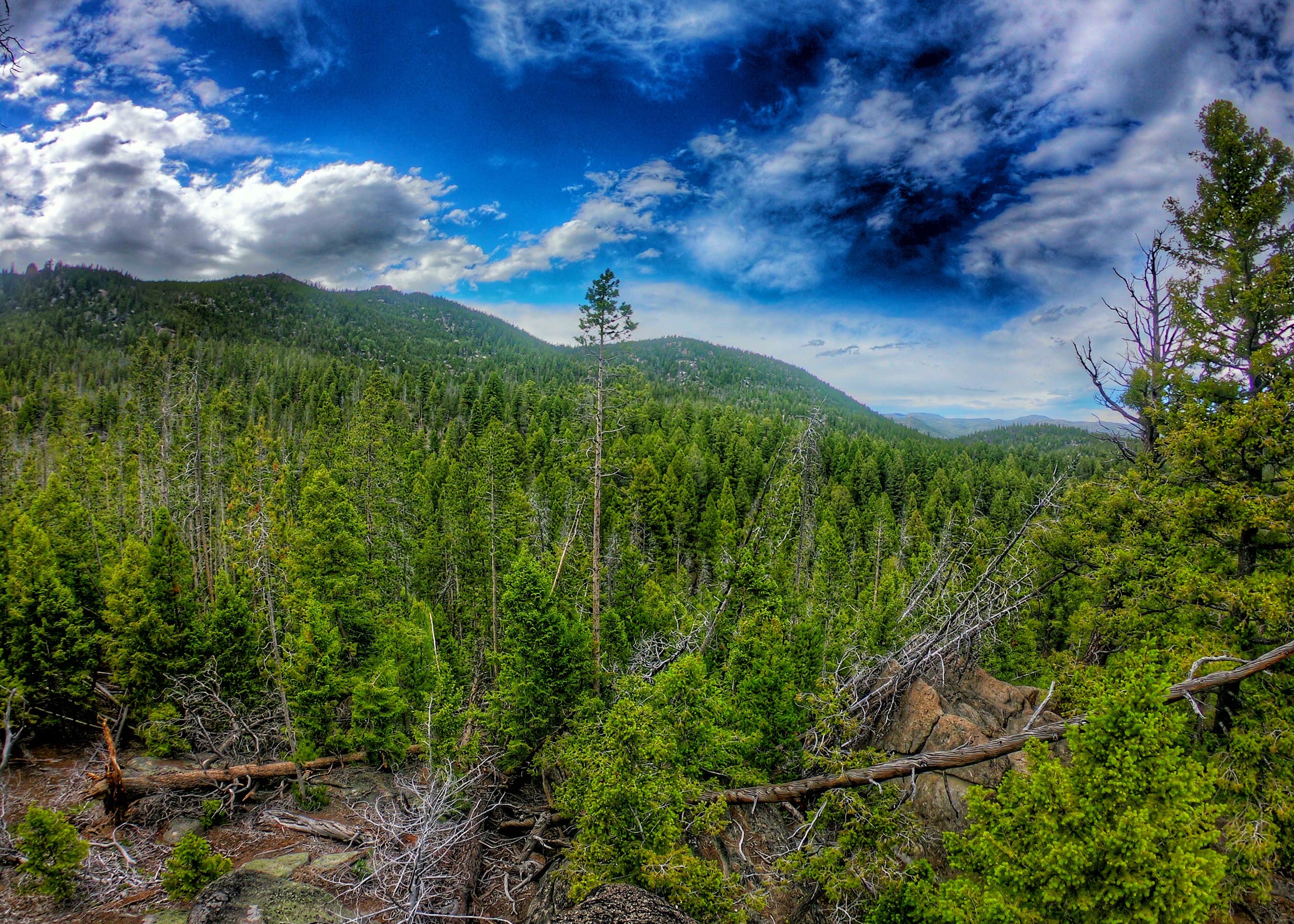 Pipestone OHV Recreation Area Camping | The Dyrt