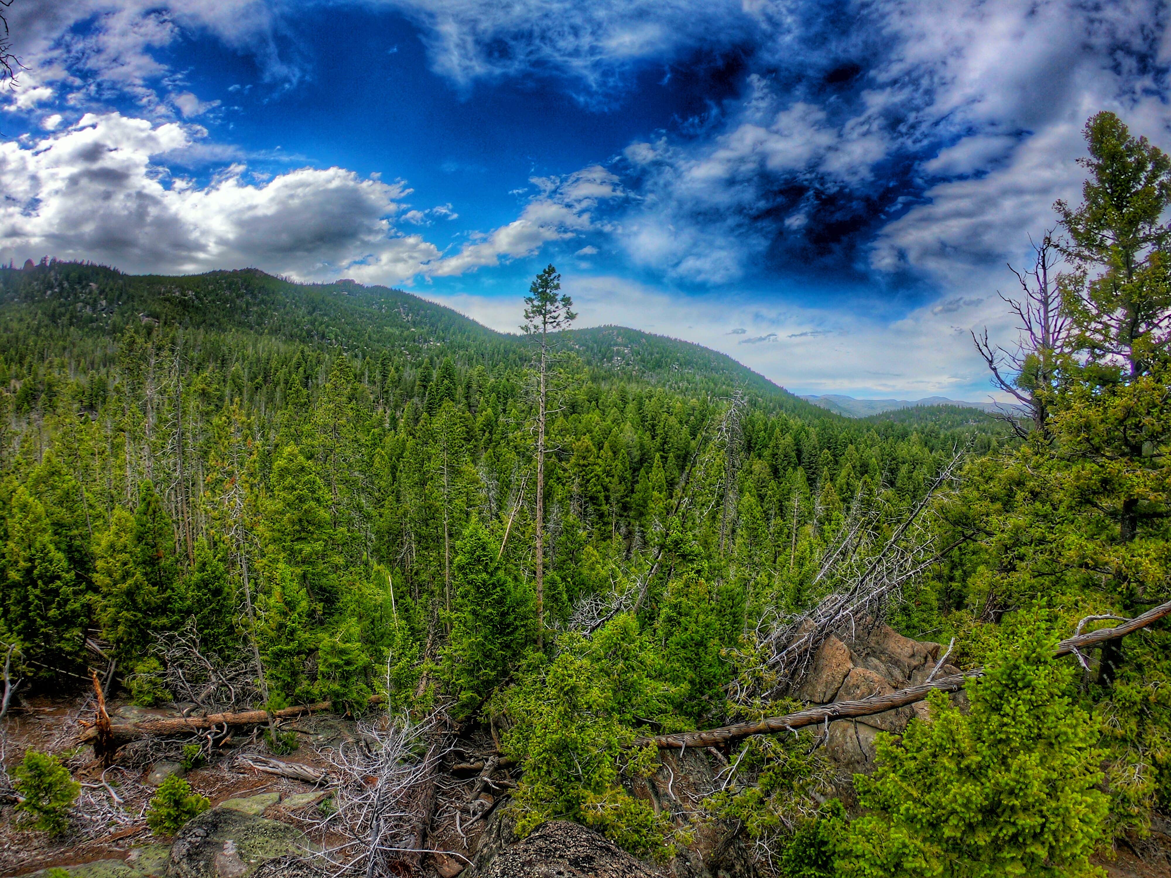 Pipestone OHV Recreation Area Camping | Butte, MT