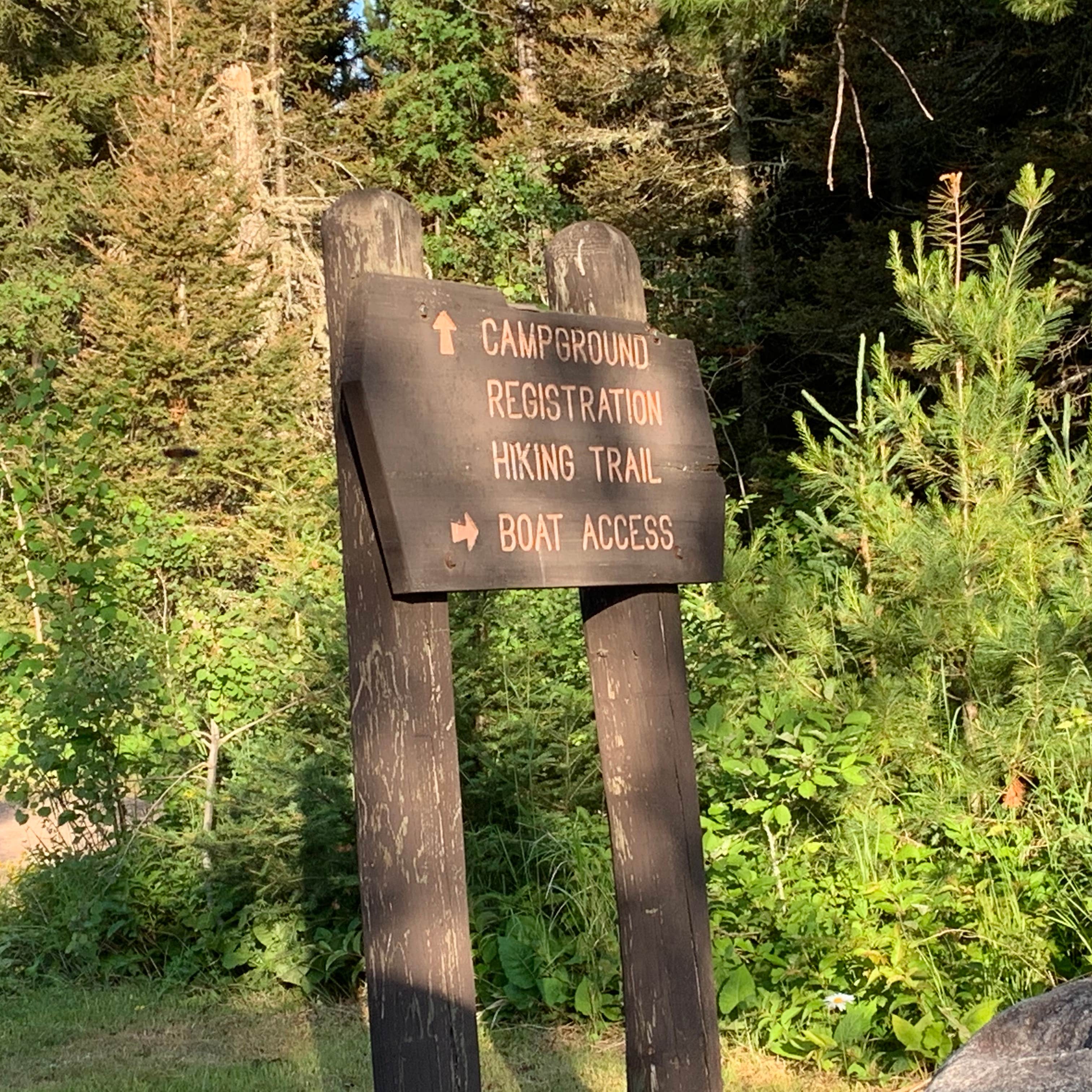 Sullivan Lake Campground Camping | The Dyrt