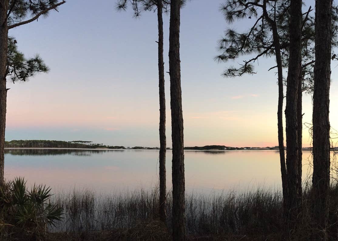 Grayton Beach State Park Camping | The Dyrt