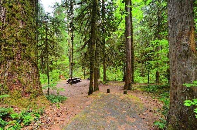 Paradise in Oregon | The Dyrt