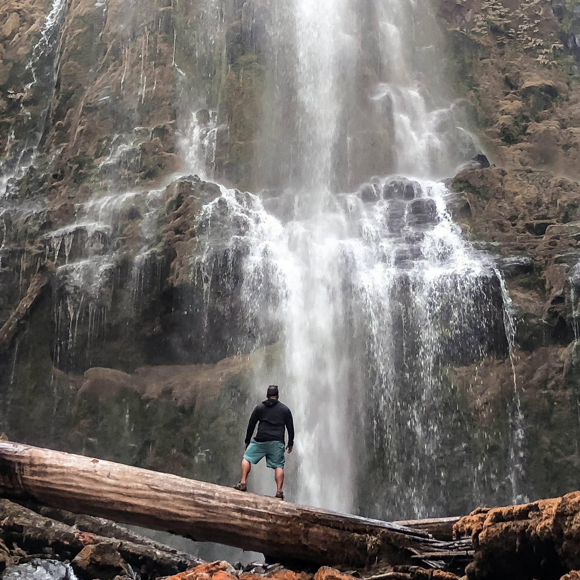 Limberlost Campground | Mckenzie Bridge, Oregon