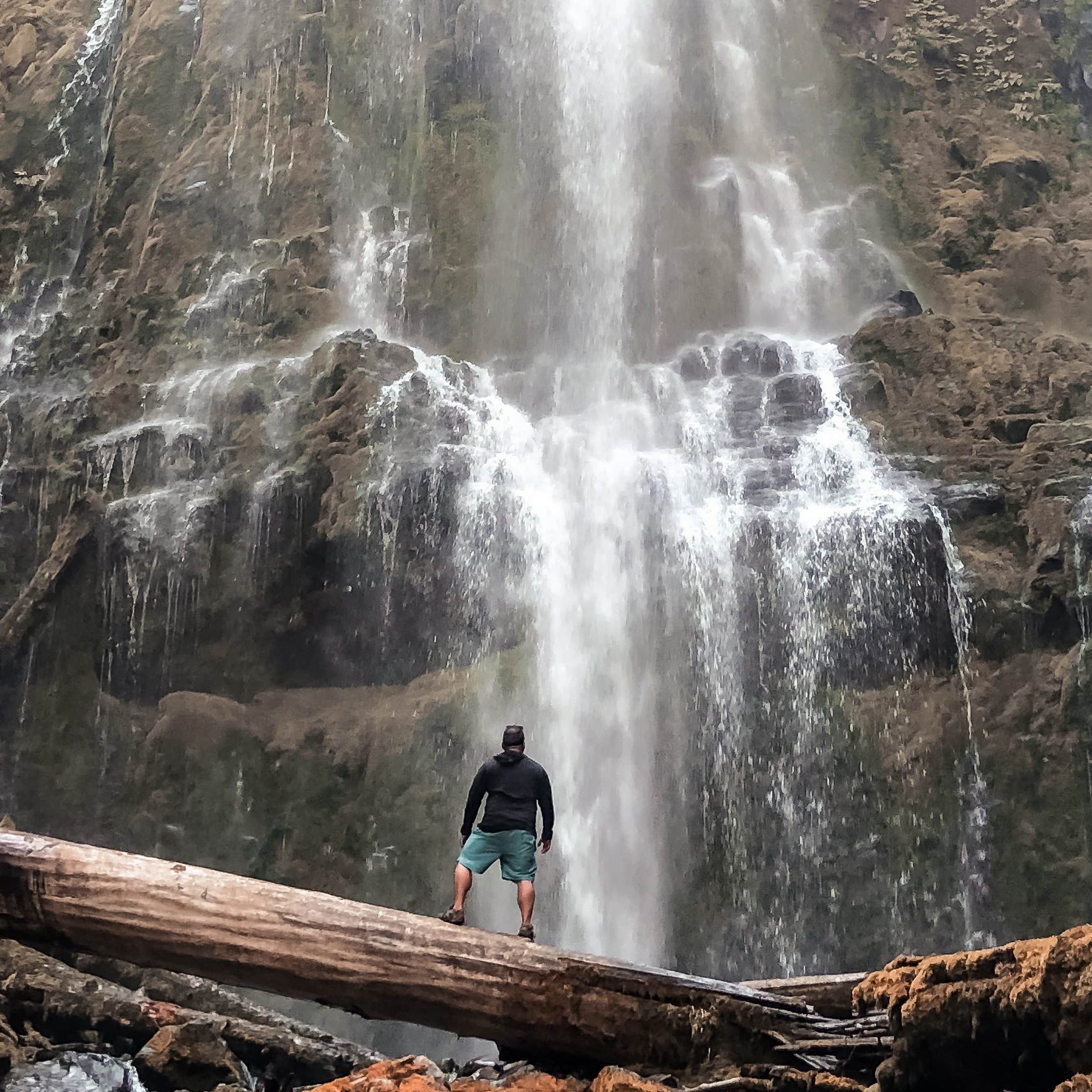 Limberlost Campground | Mckenzie Bridge, Oregon