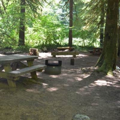 Limberlost Campground | Mckenzie Bridge, Oregon