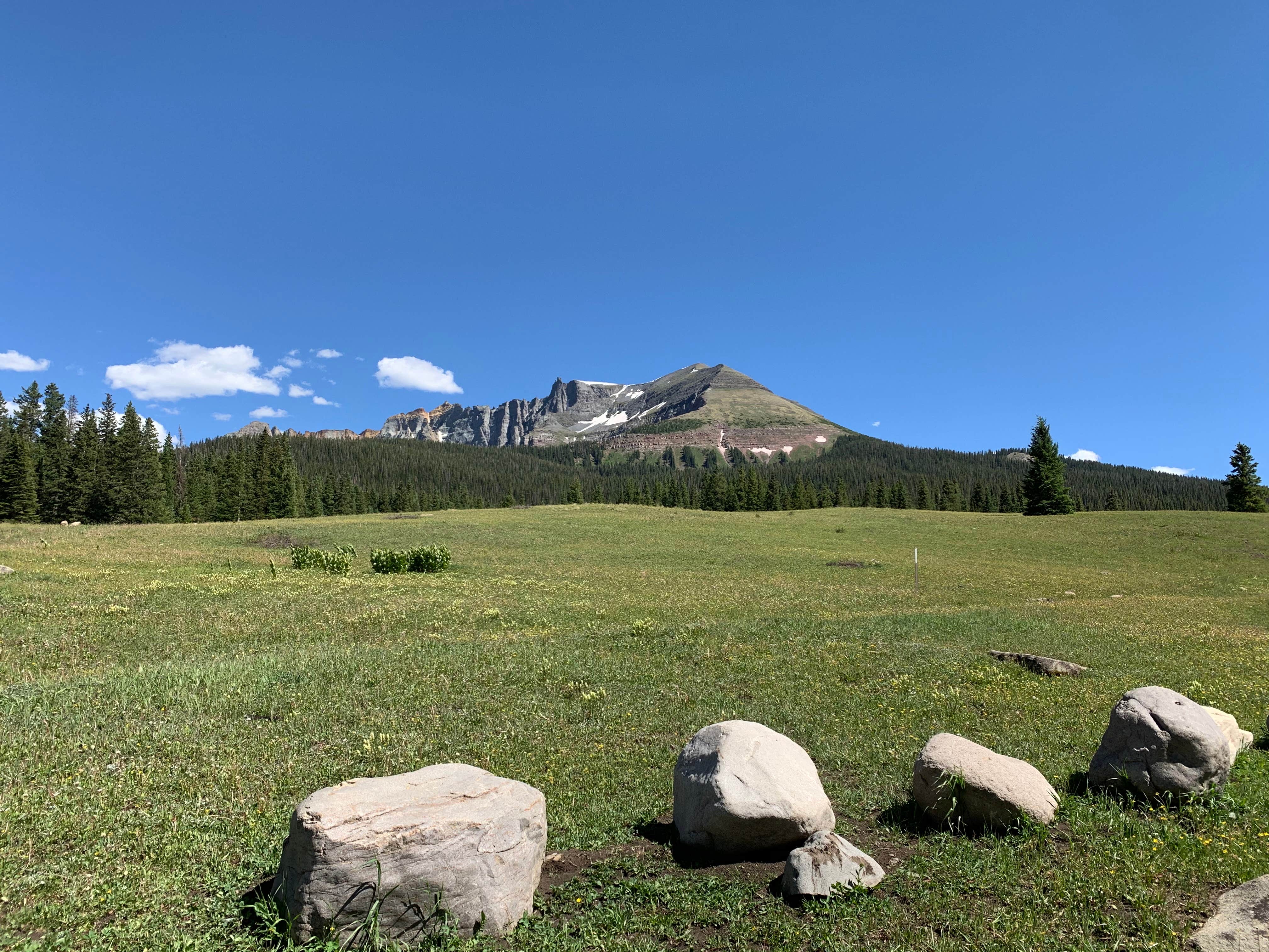 Lizard Head Pass Camping | The Dyrt