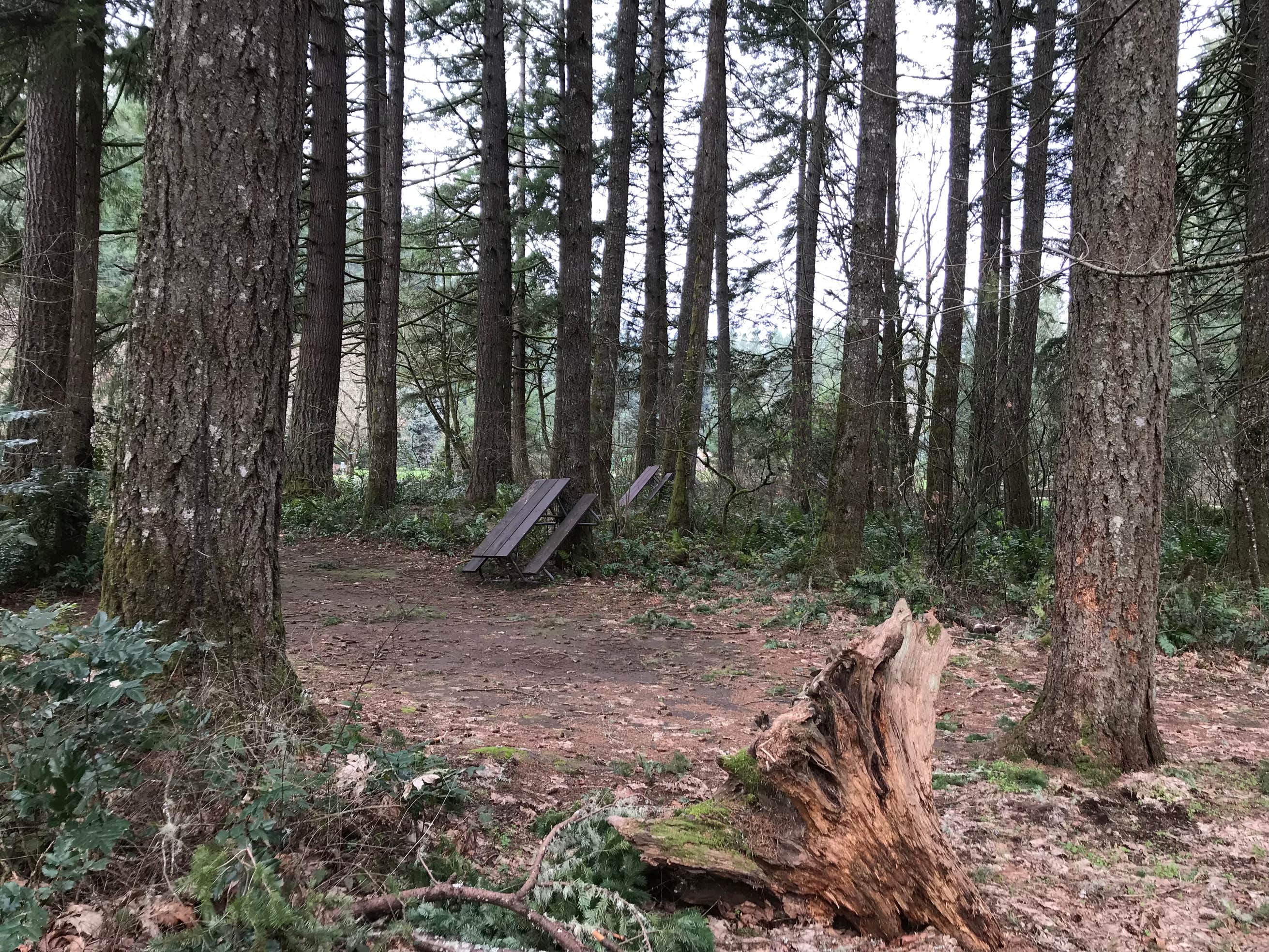 Barton County Park Campground Camping | The Dyrt