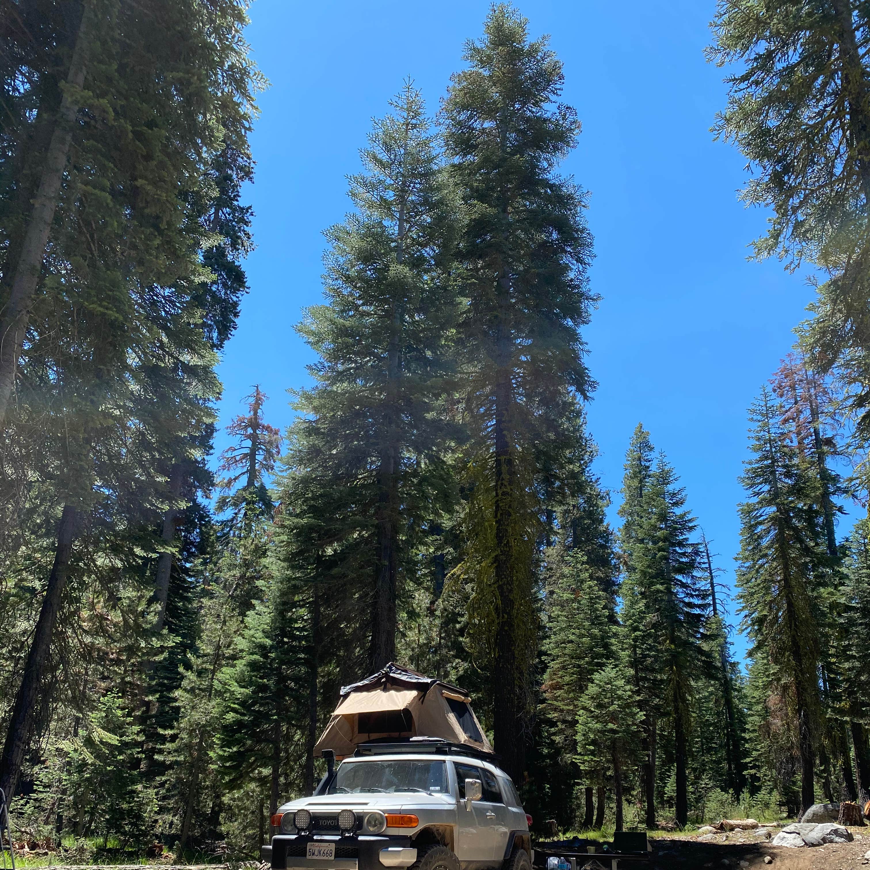 Utica/Union Reservoirs Camping | Bear Valley, California