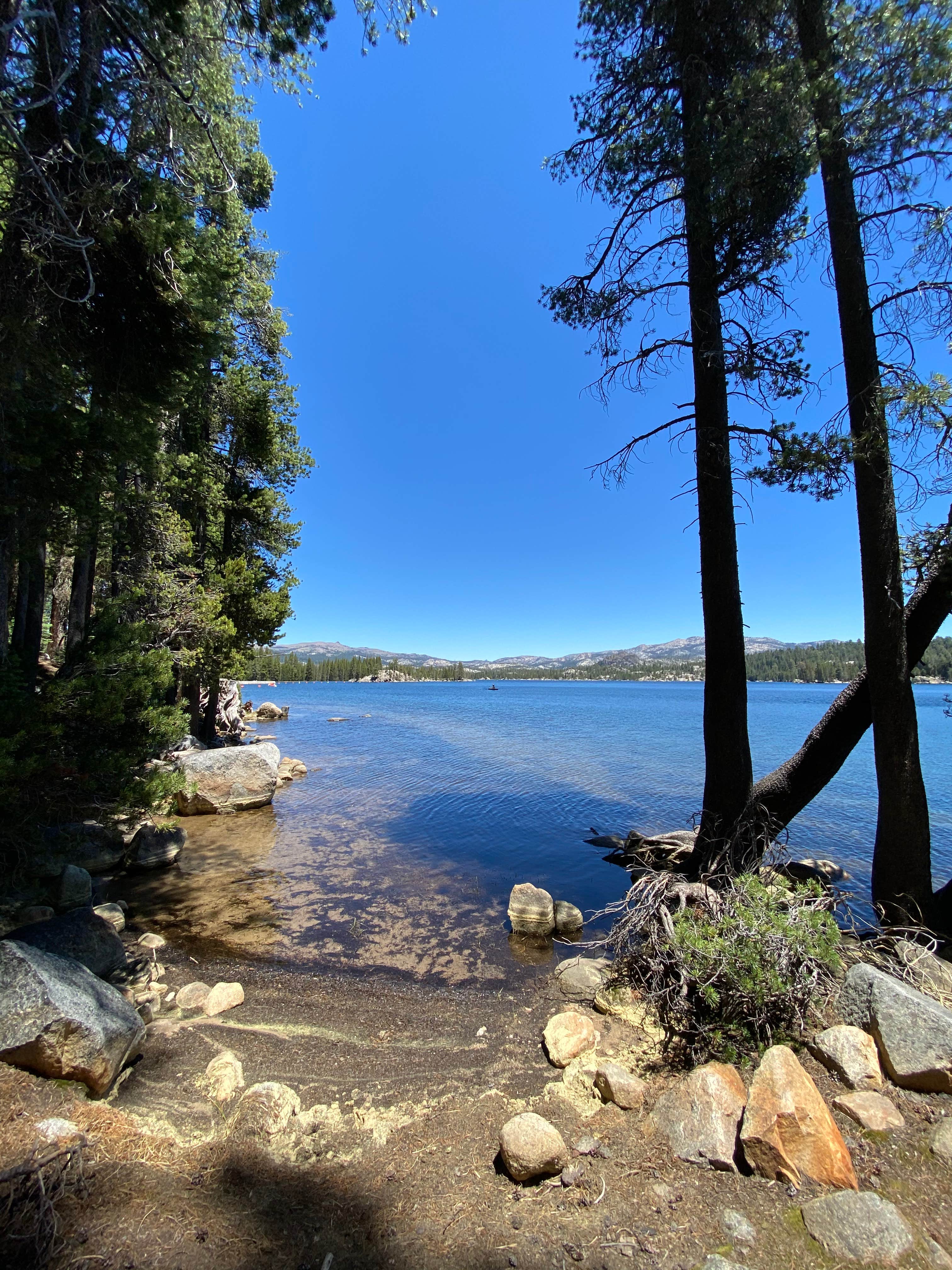 Utica/Union Reservoirs Camping | Bear Valley, California
