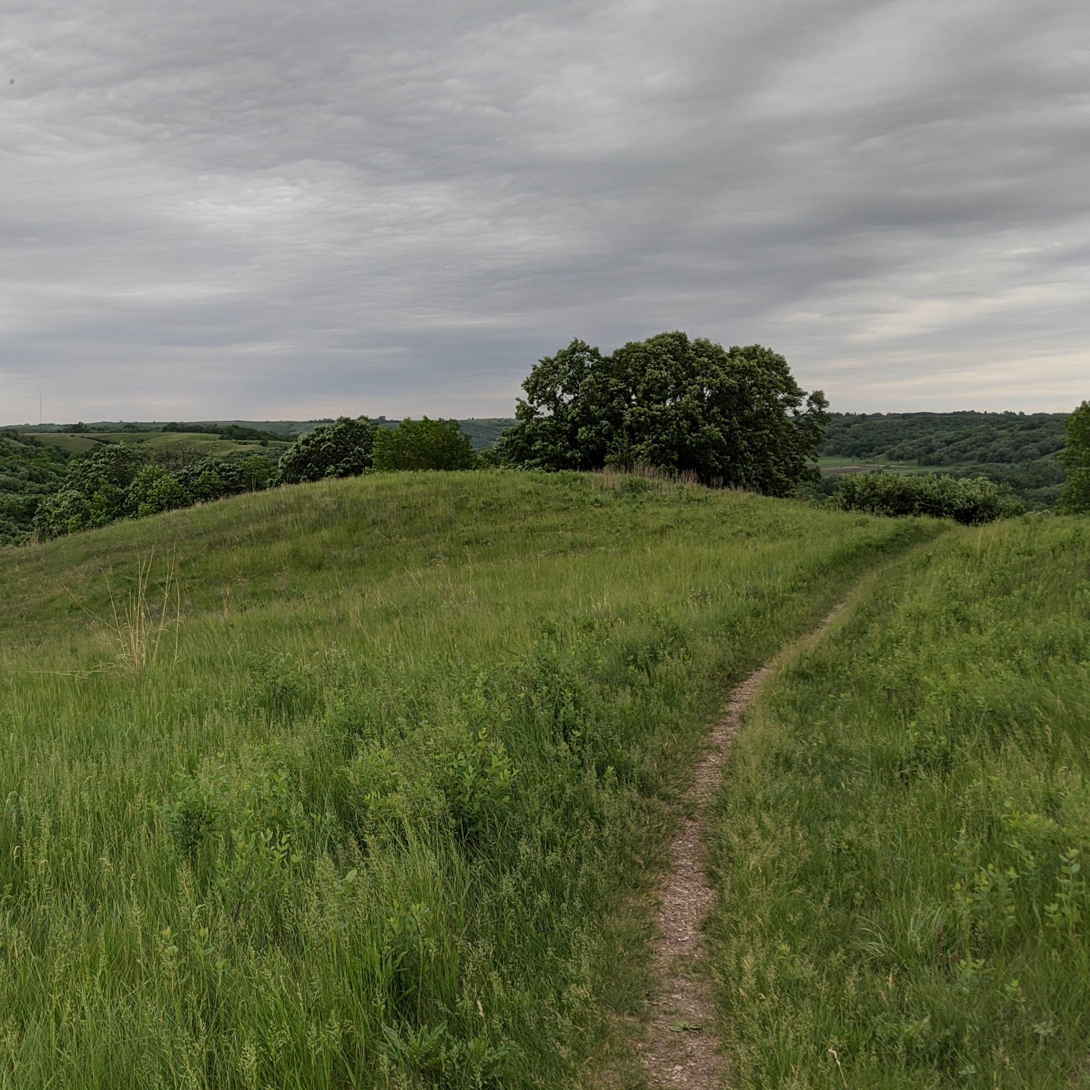 Fort Ransom State Park Campground | Fort Ransom, North Dakota