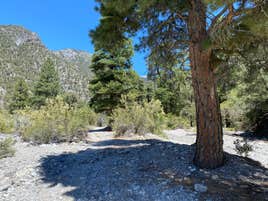 Carpenter Canyon Camping | The Dyrt