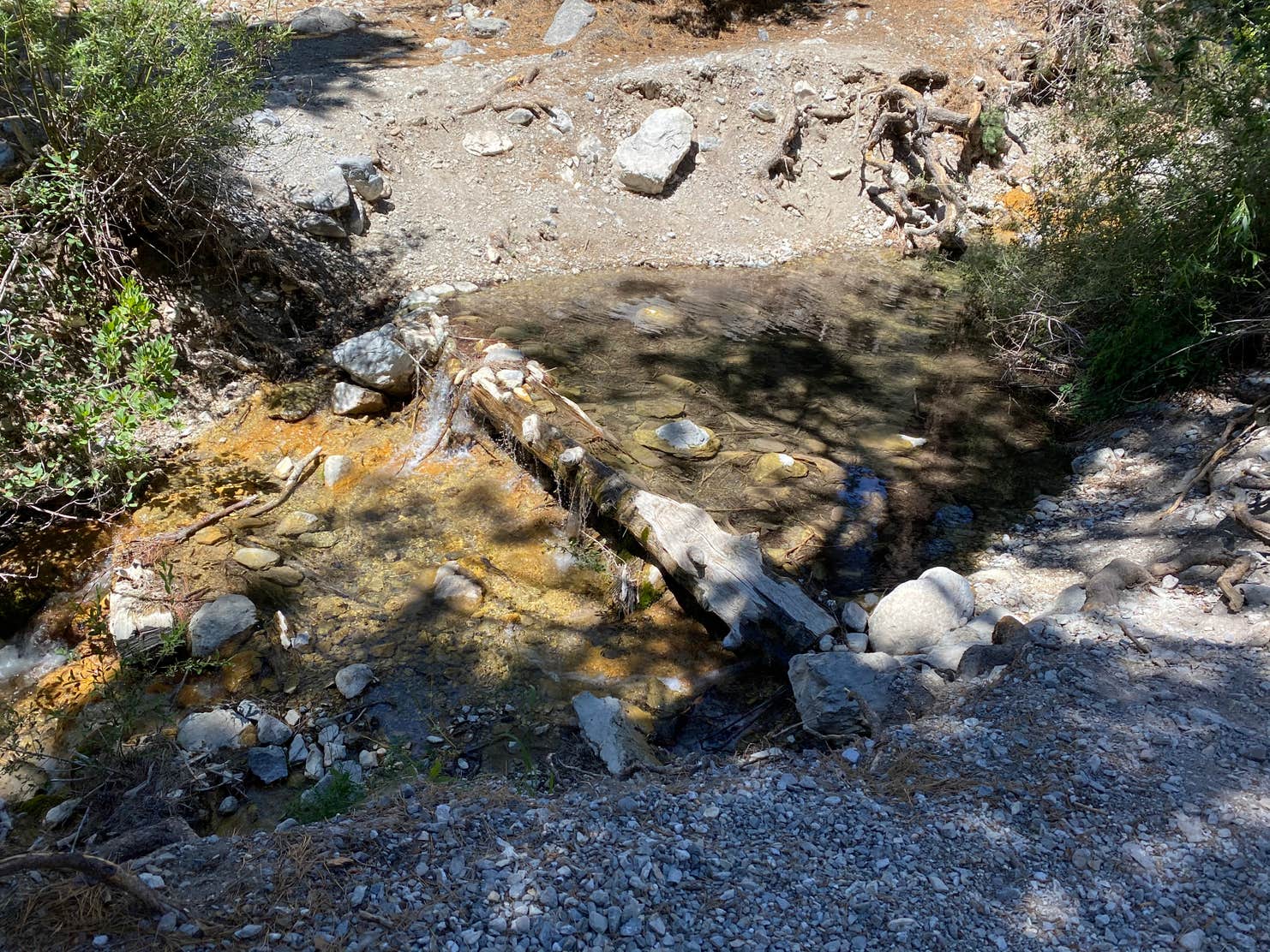 Carpenter Canyon | The Dyrt