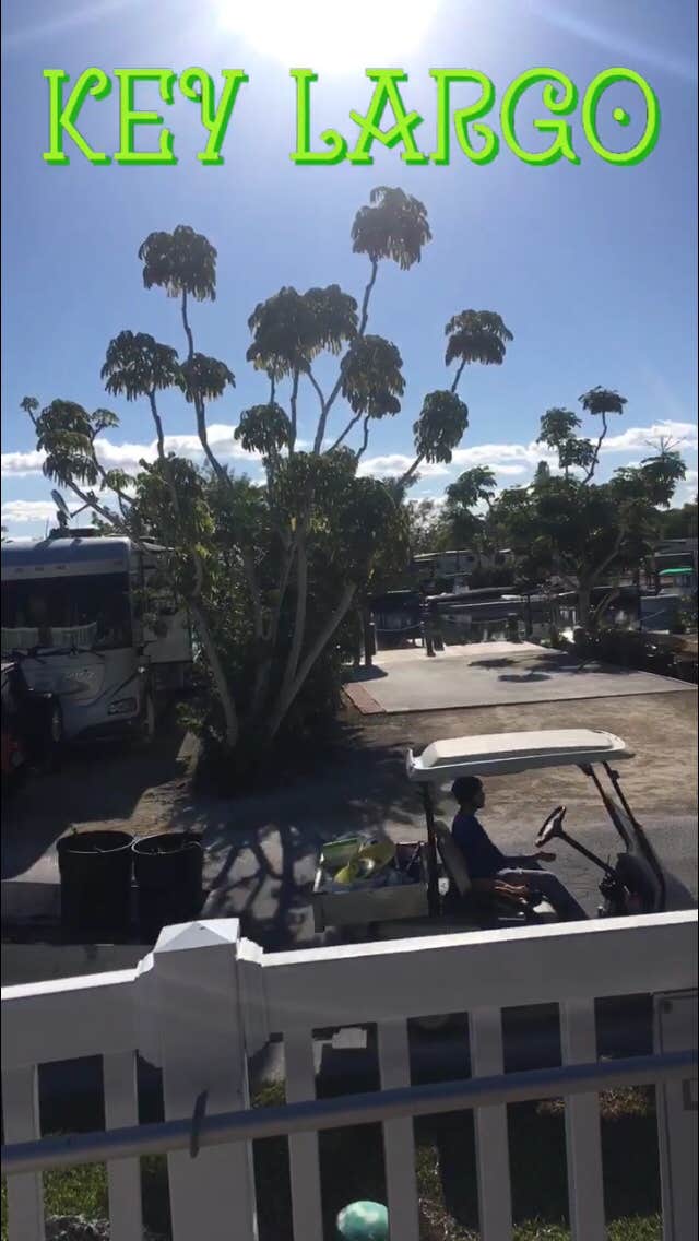 Key Largo Kampground & Marina Camping | The Dyrt