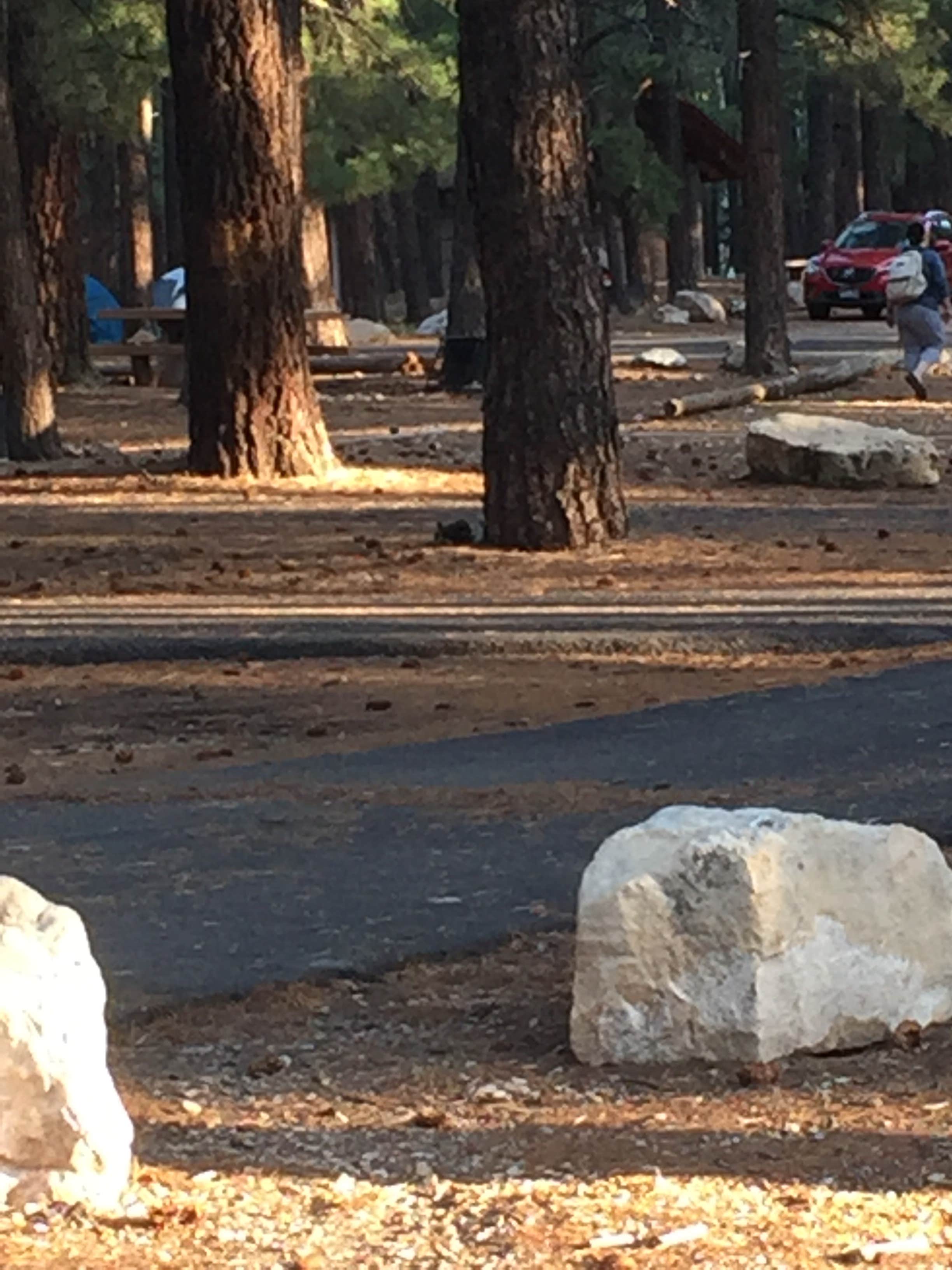 North Rim Campground | The Dyrt