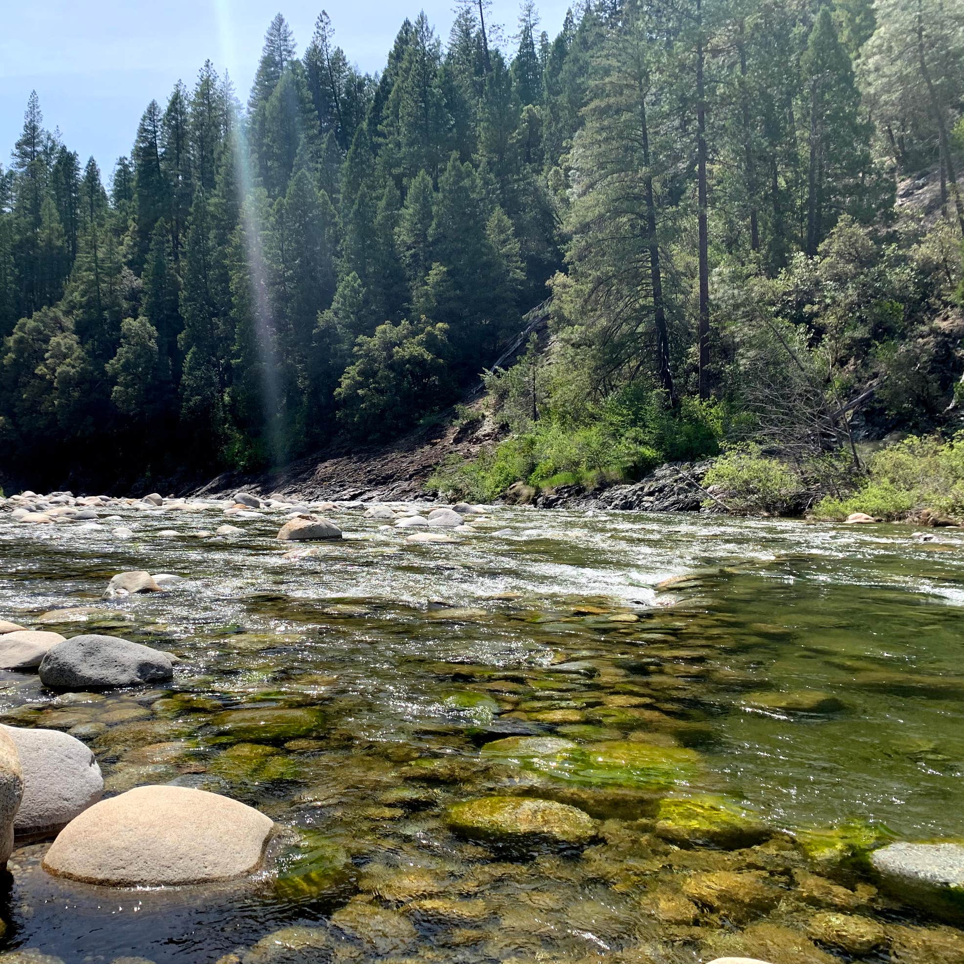 River Rest Resort Camping | The Dyrt