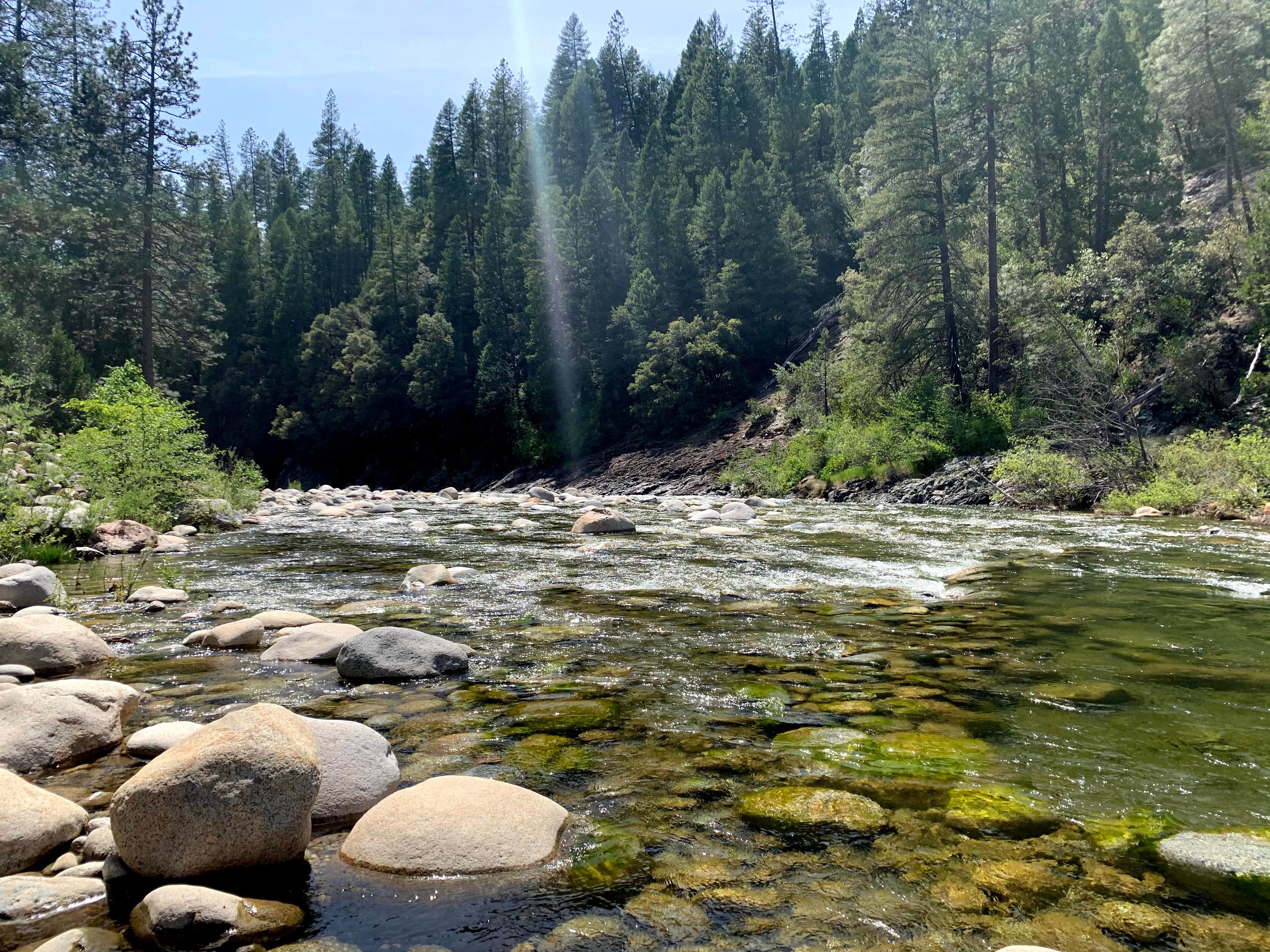 River Rest Resort Camping | Washington, CA