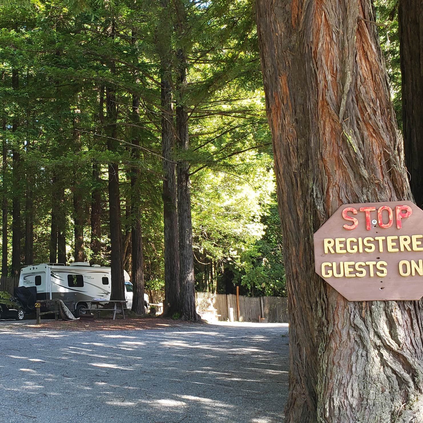 Redcrest Resort Camping | The Dyrt