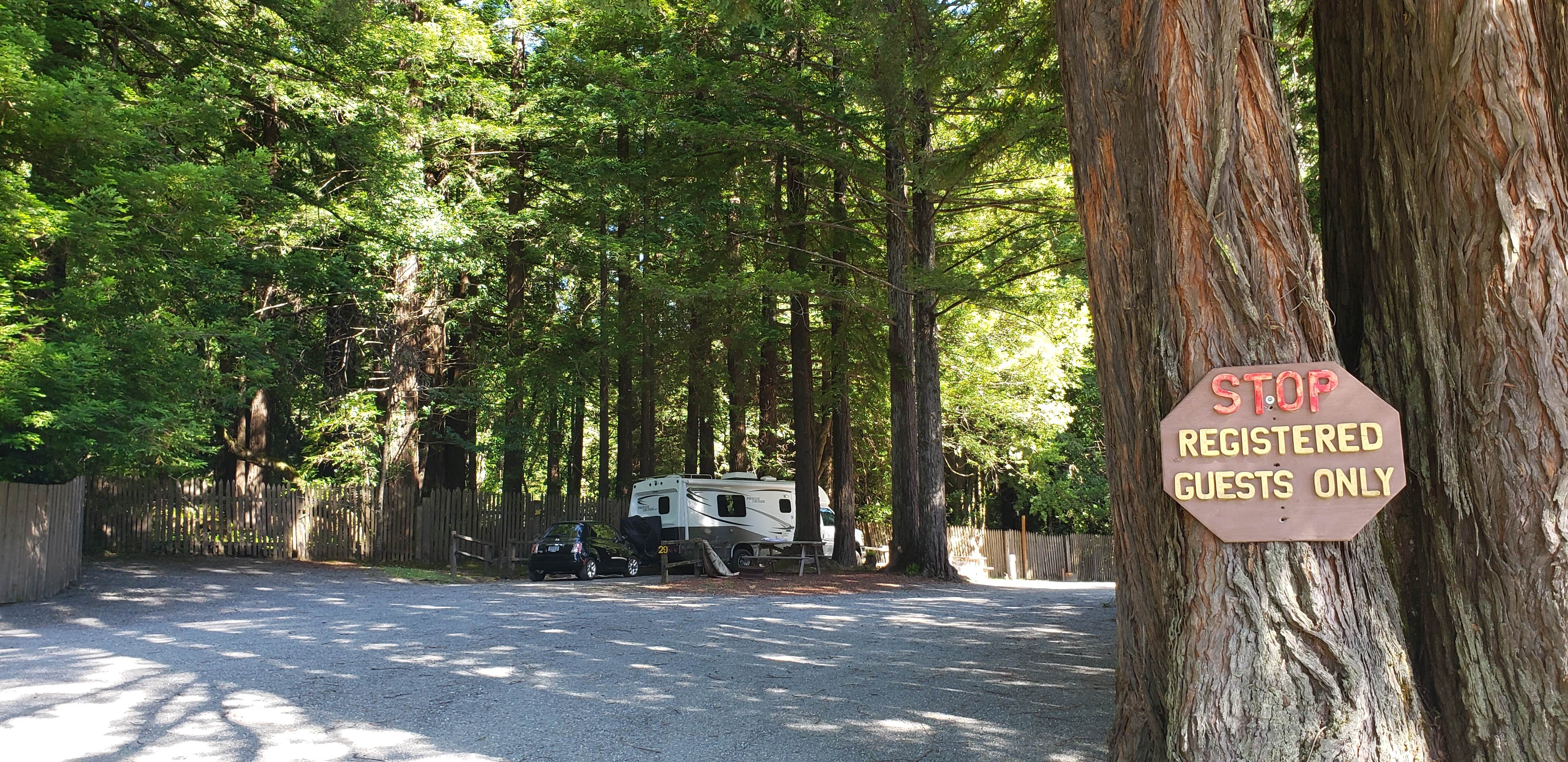 Redcrest Resort Camping | Redcrest, CA