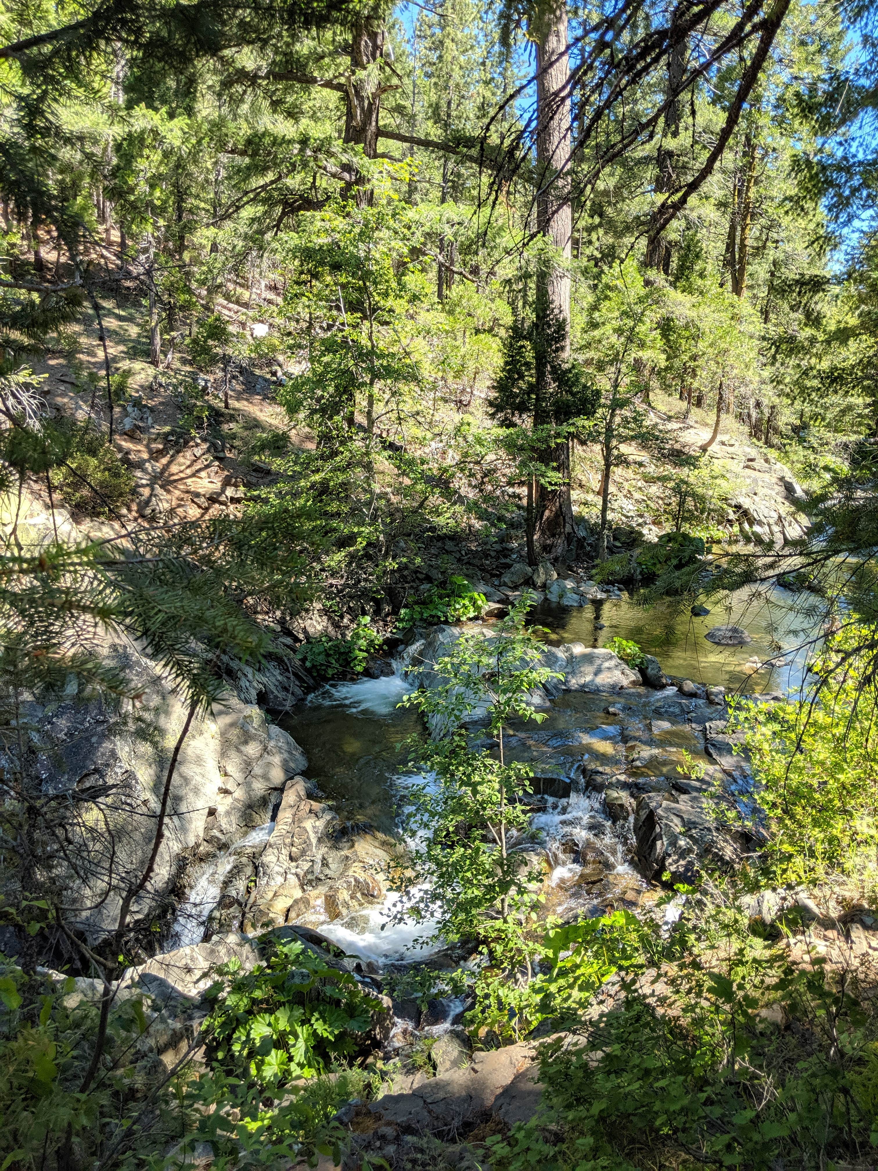 North Fork (Ca) | The Dyrt