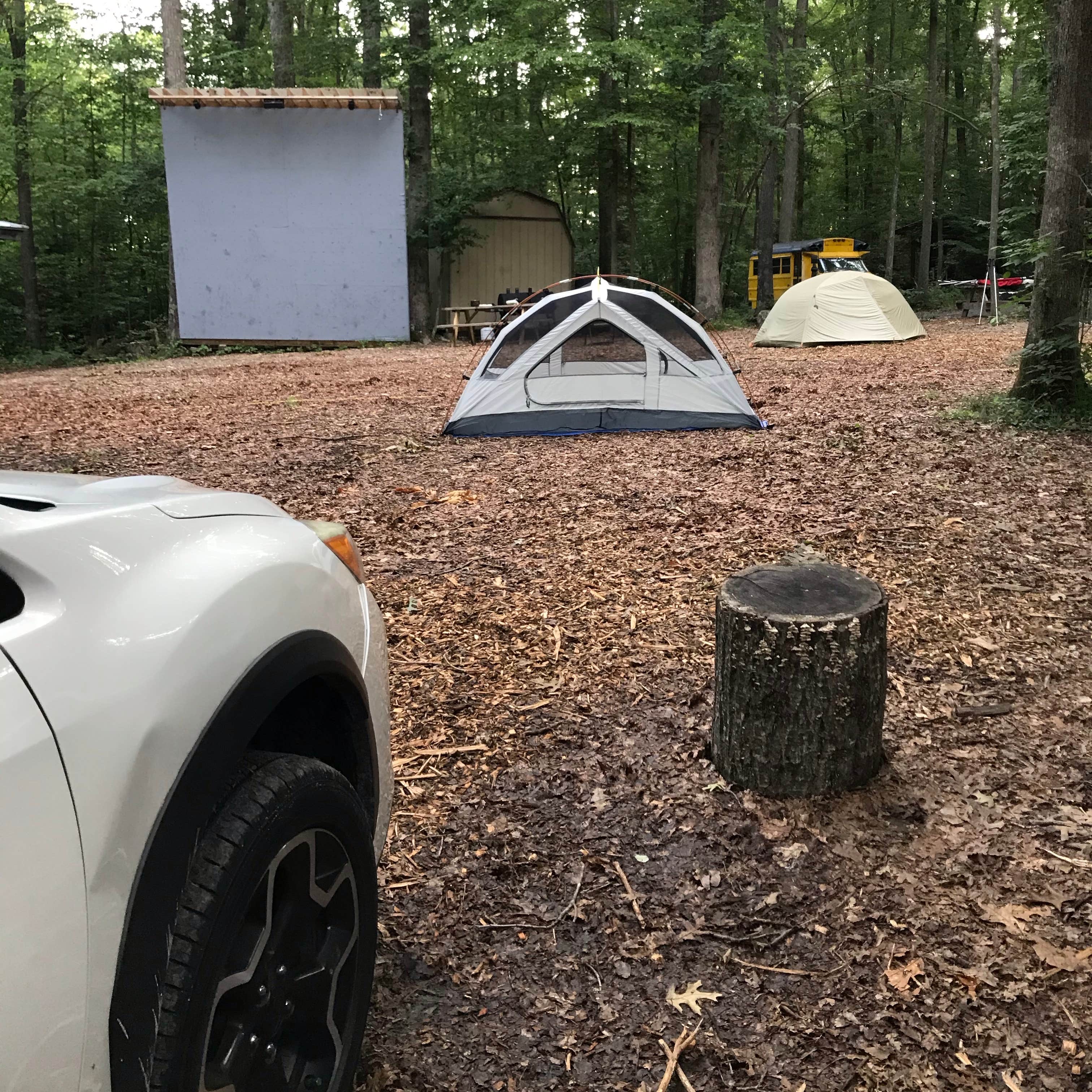 New River Gorge Campground - American Alpine Club Camping | The Dyrt