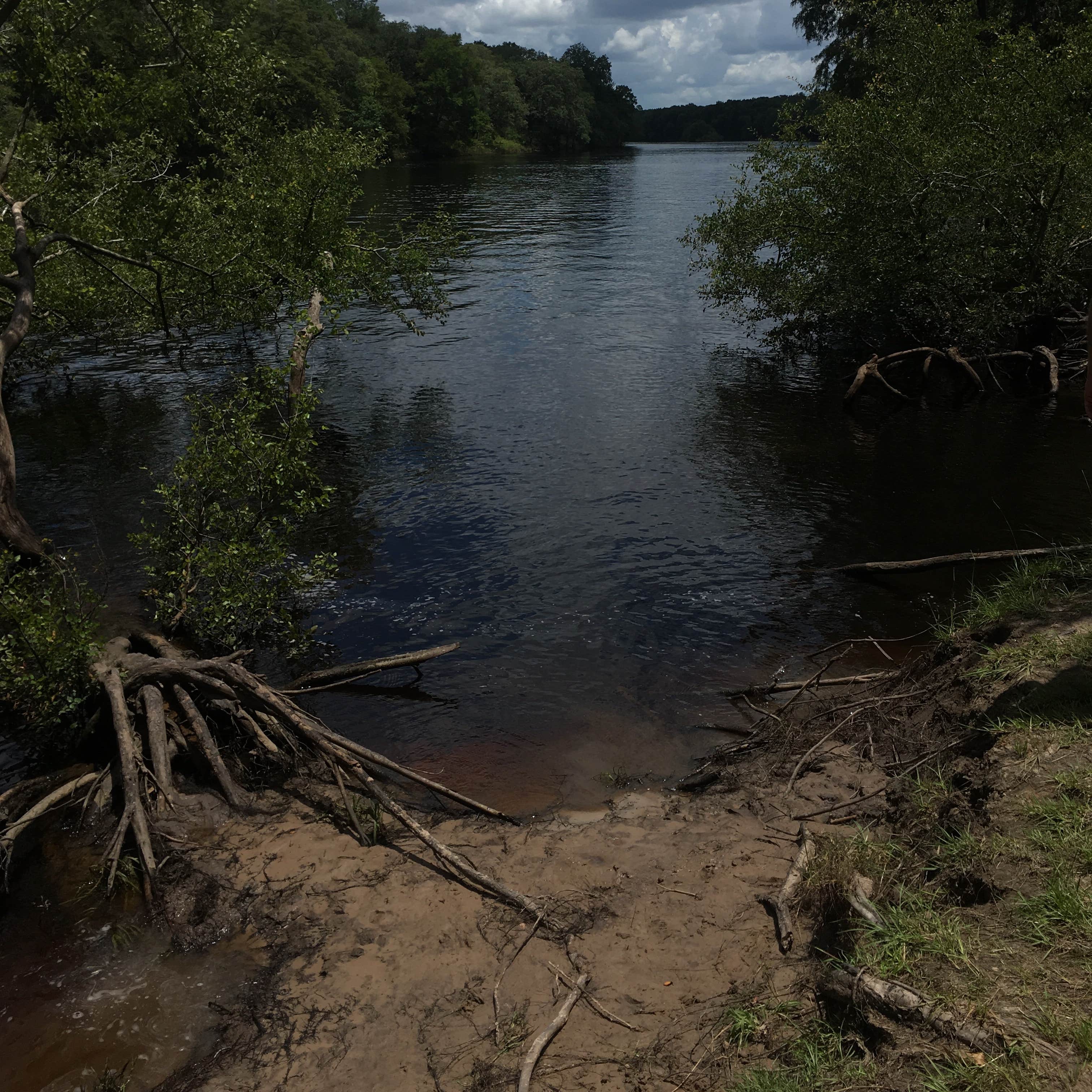 Suwannee River Rendezvous Resort Camping | The Dyrt