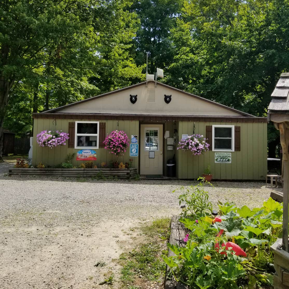 Forest Ridge Campground Camping | The Dyrt