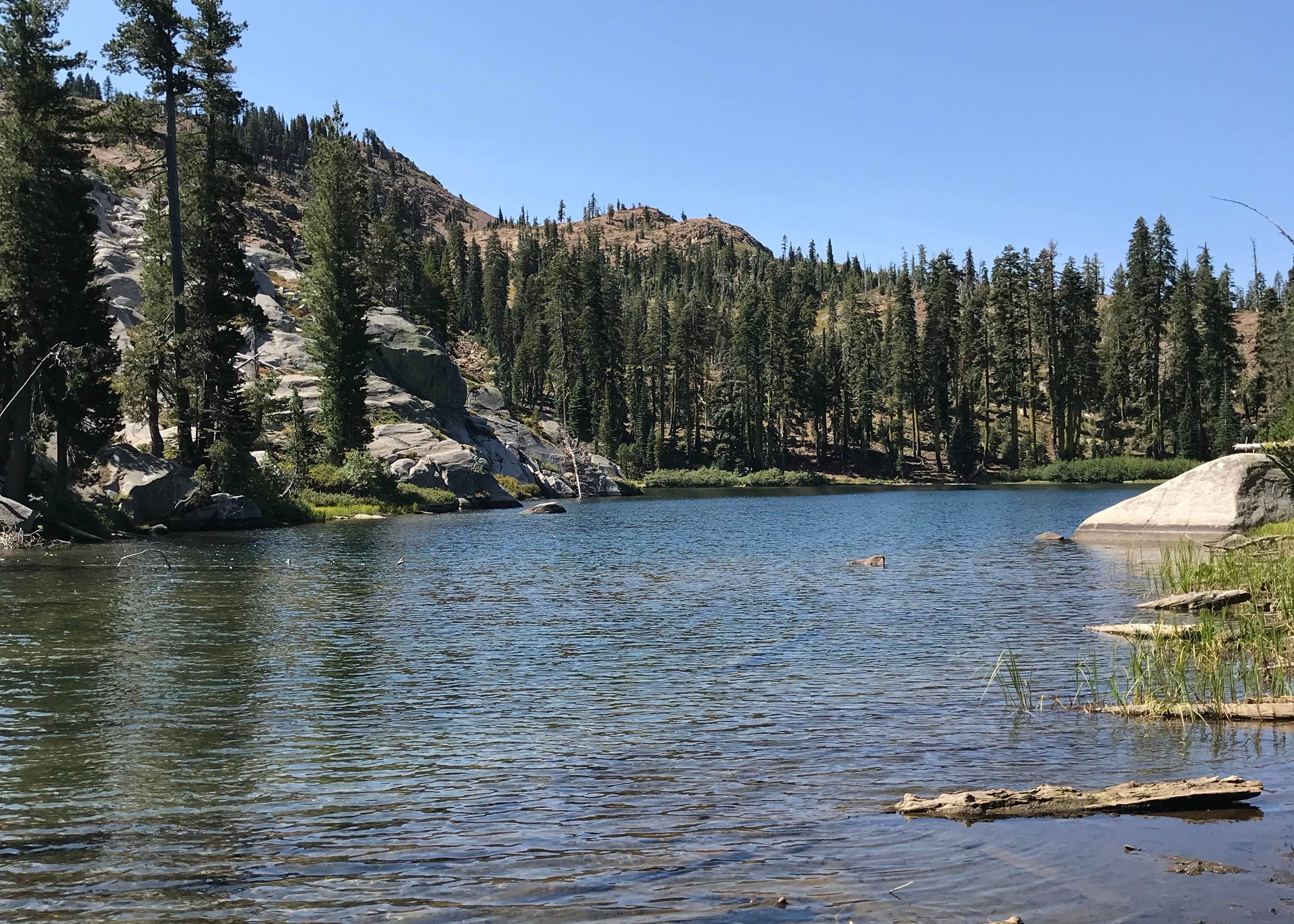 Grouse Ridge Campground Camping | The Dyrt