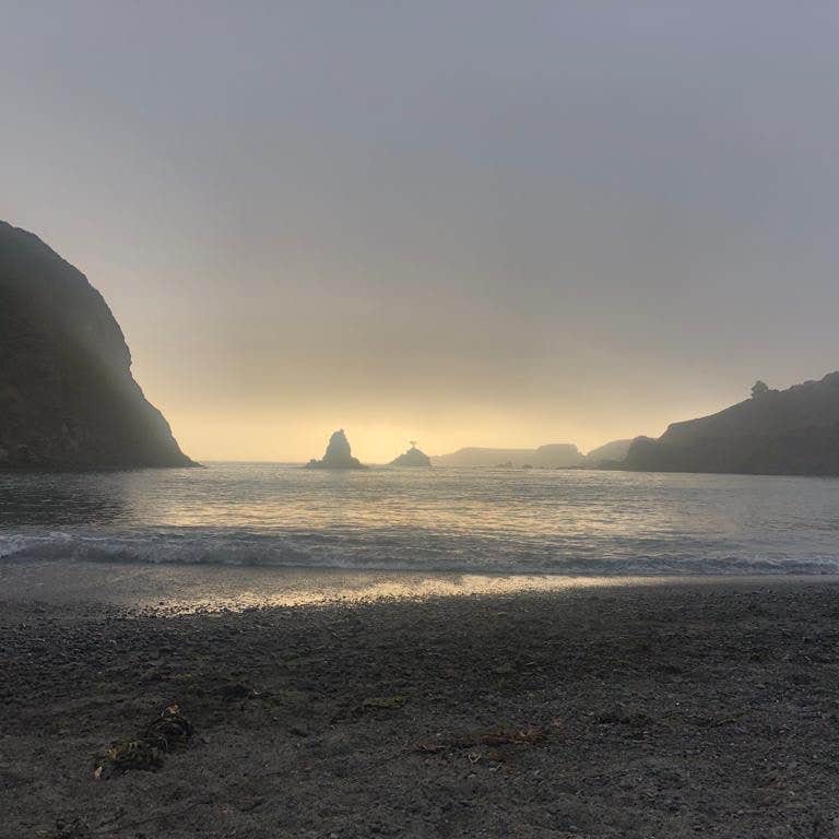 Albion River Campground Camping | The Dyrt