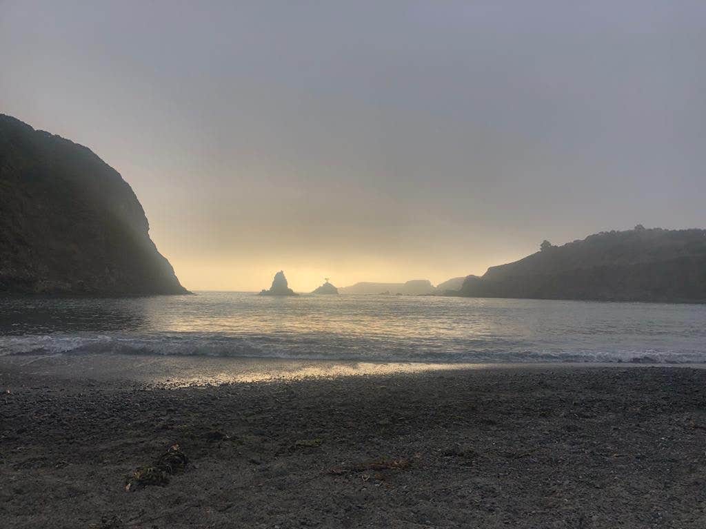 Albion River Campground | Albion, California