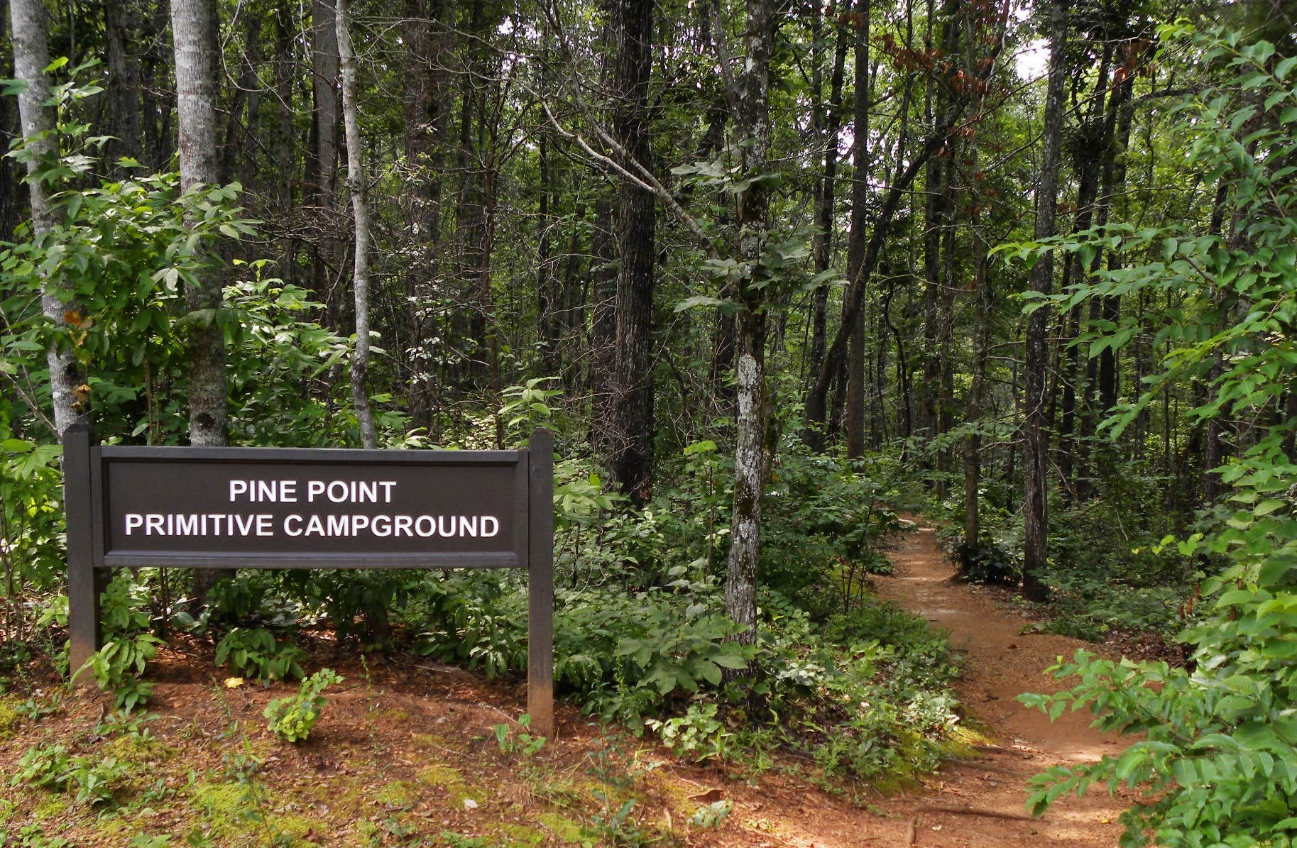 Pine Point Primitive Campground — Table Rock State Park | Sunset, SC